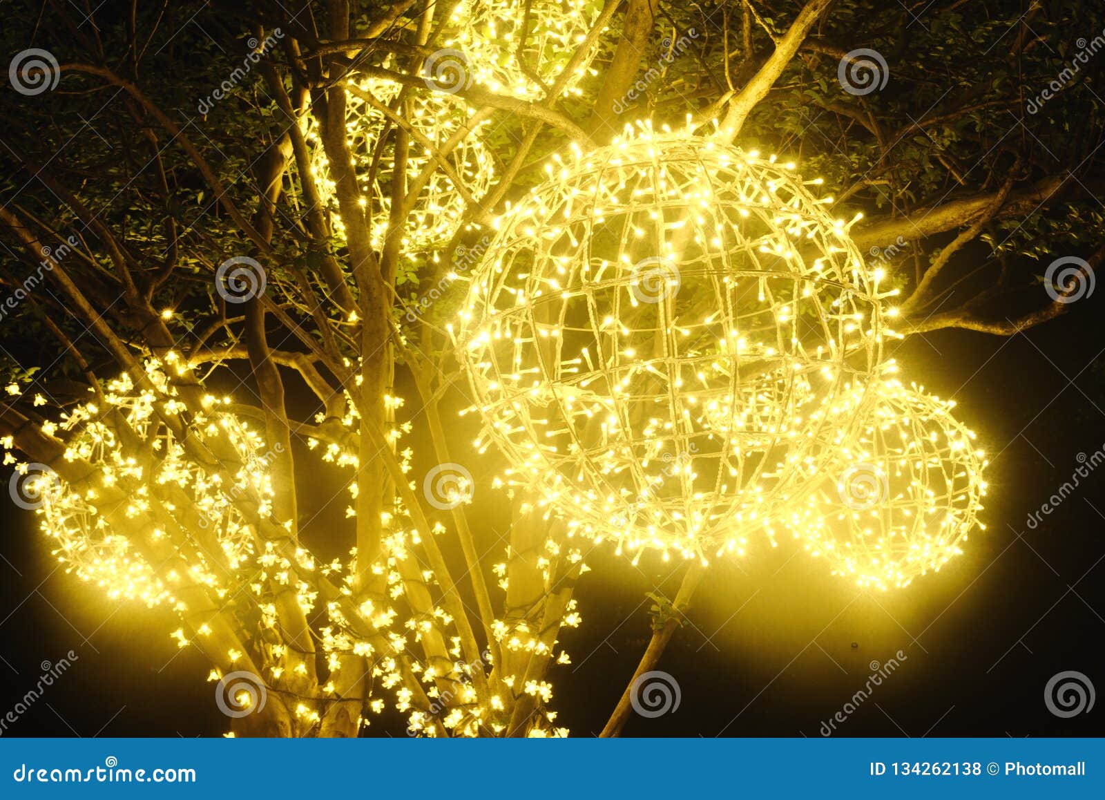 Decorative Led Fish Light on the Park Tree Stock Photo - Image of green ...