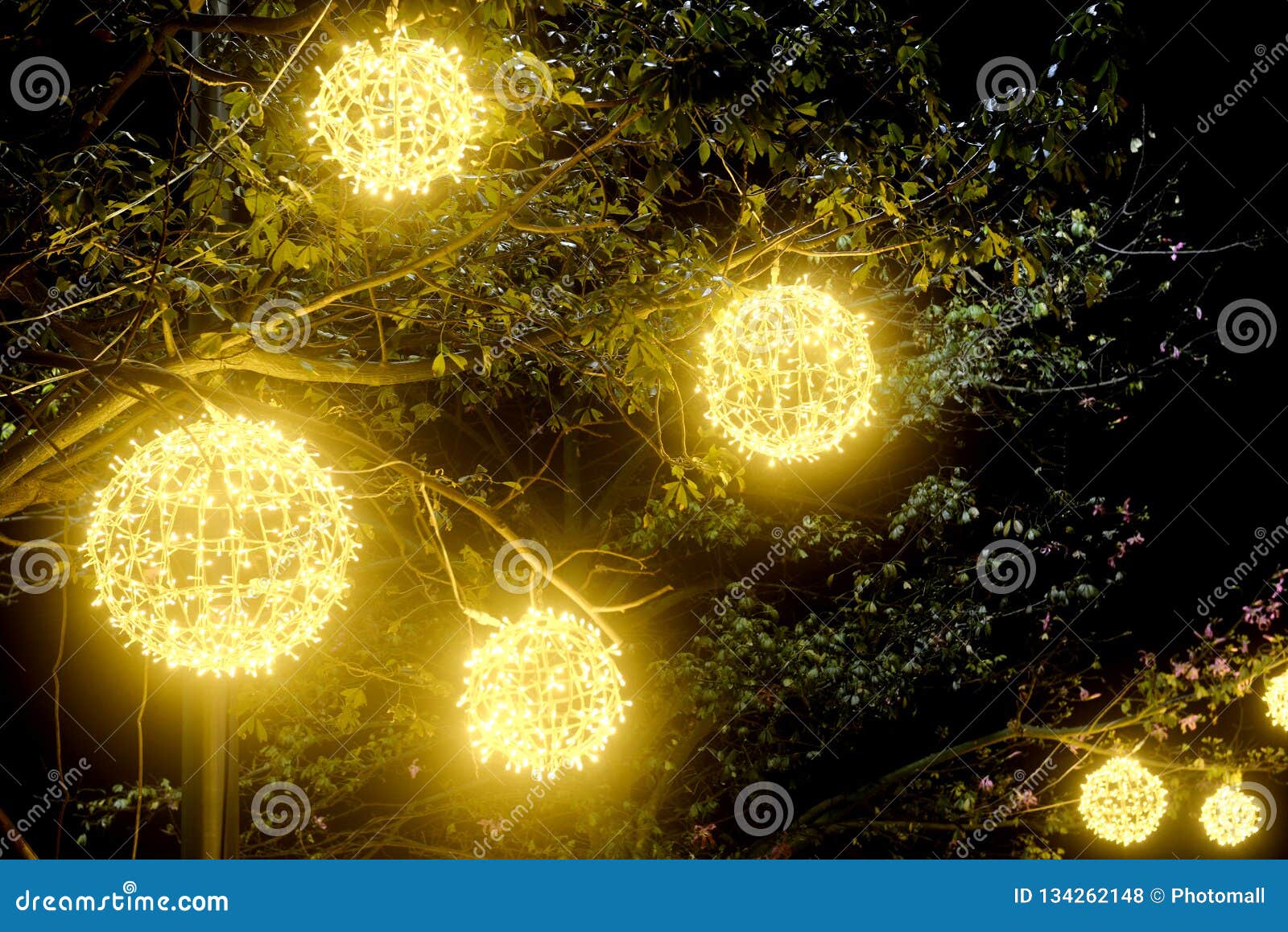 Decorative Led Fish Light on the Park Tree Stock Photo - Image of ...