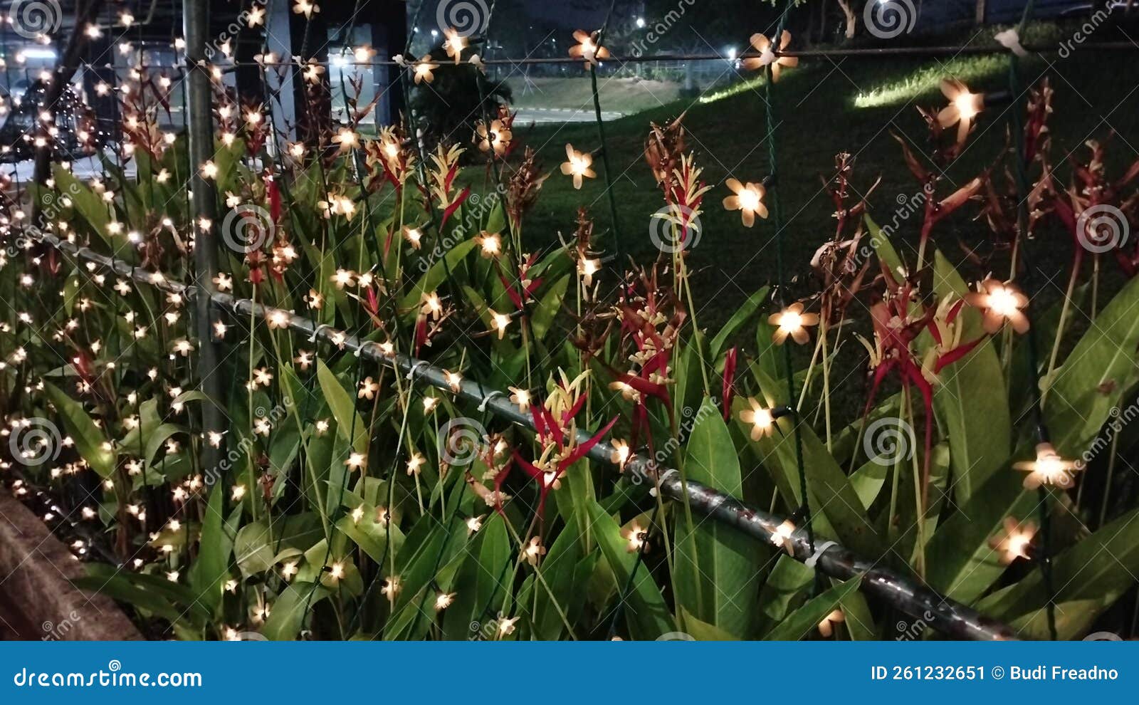 Decorative Led Lights with Beautiful Flowers Stock Image - Image of ...