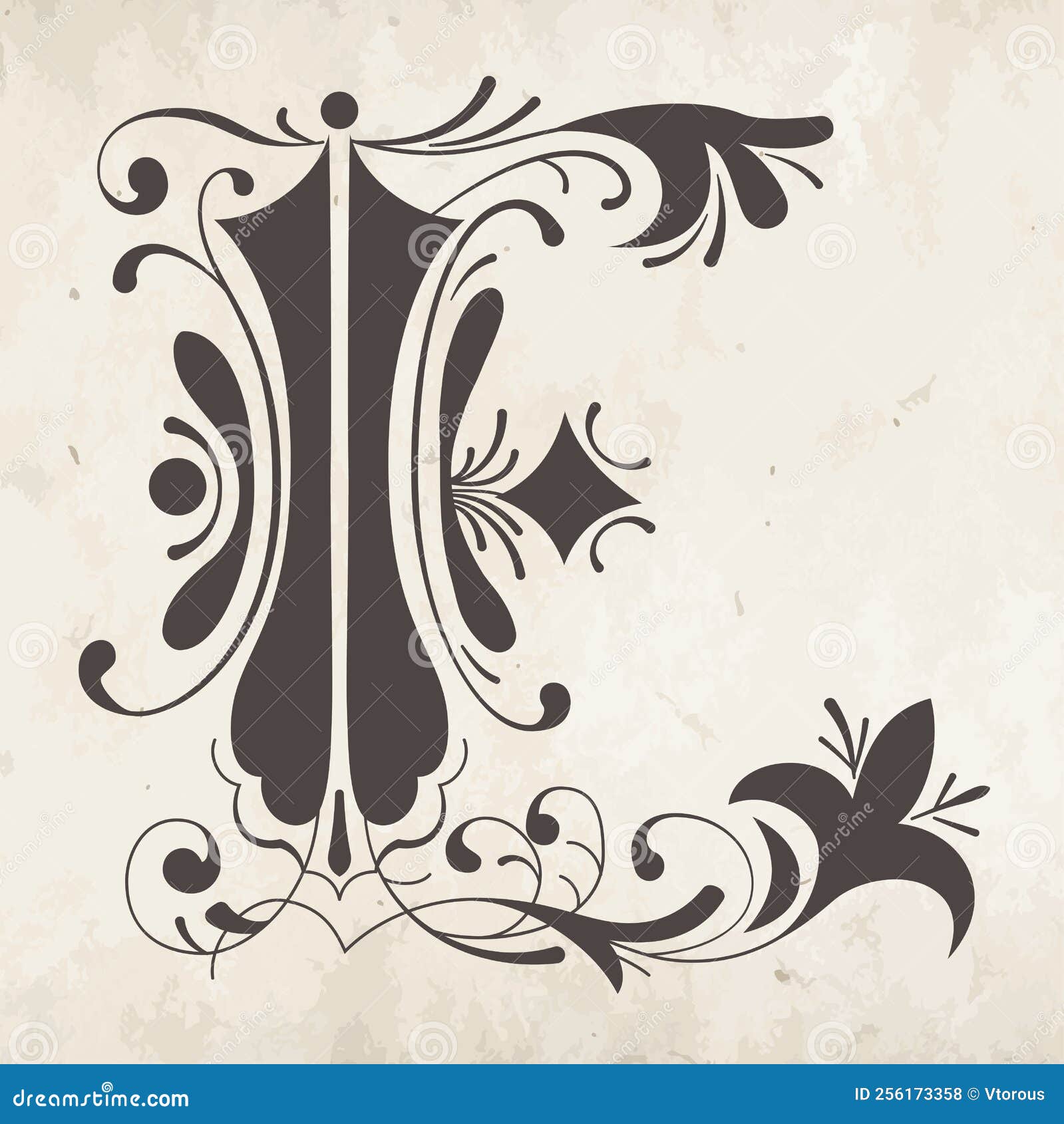 Decorative letter E stock vector. Illustration of renaissance - 256173358