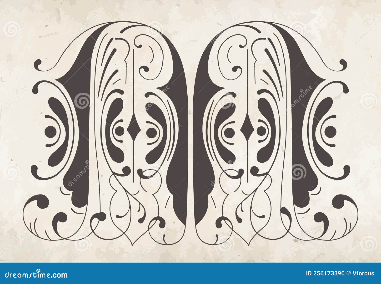 Decorative Letter M. Calligraphy Style. Stock Vector - Illustration of ...