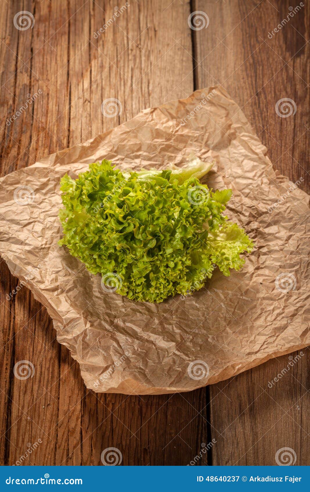 The decorative lettuce. stock image. Image of colorful - 48640237