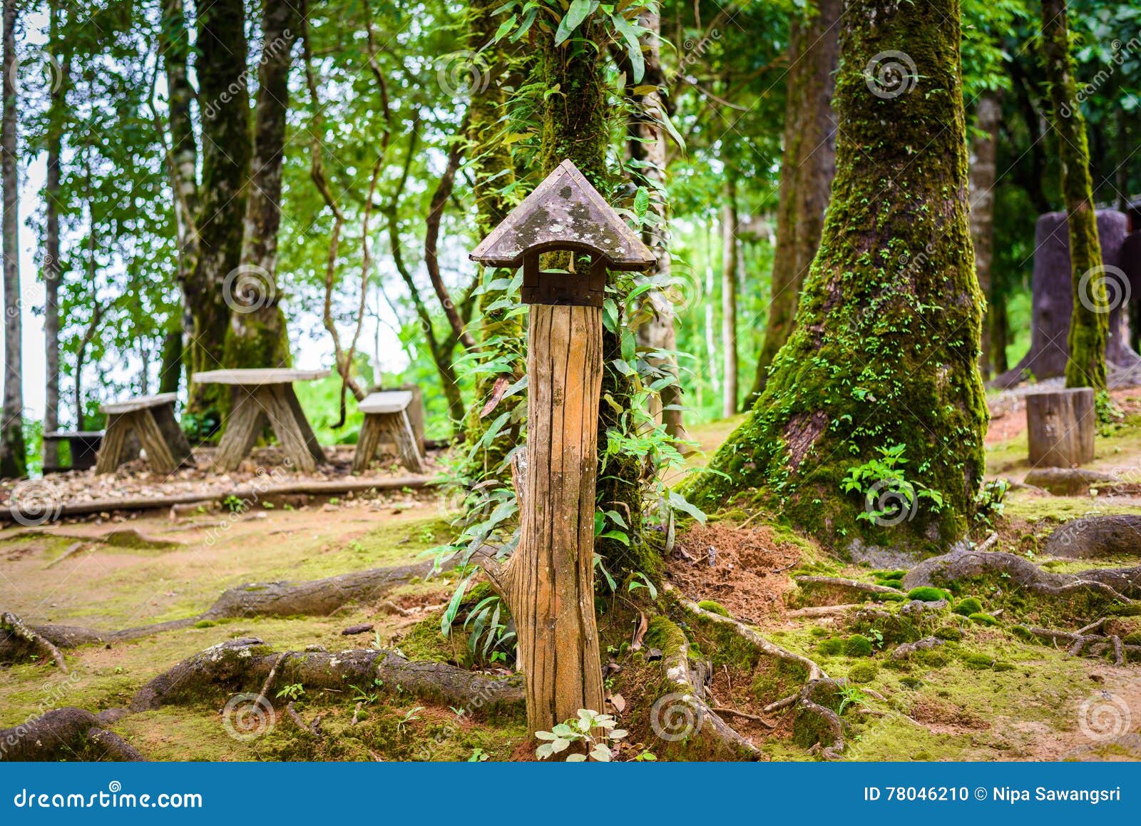 Decorative Light Pole Pathway Stock Photo - Image of wood, outdoor ...