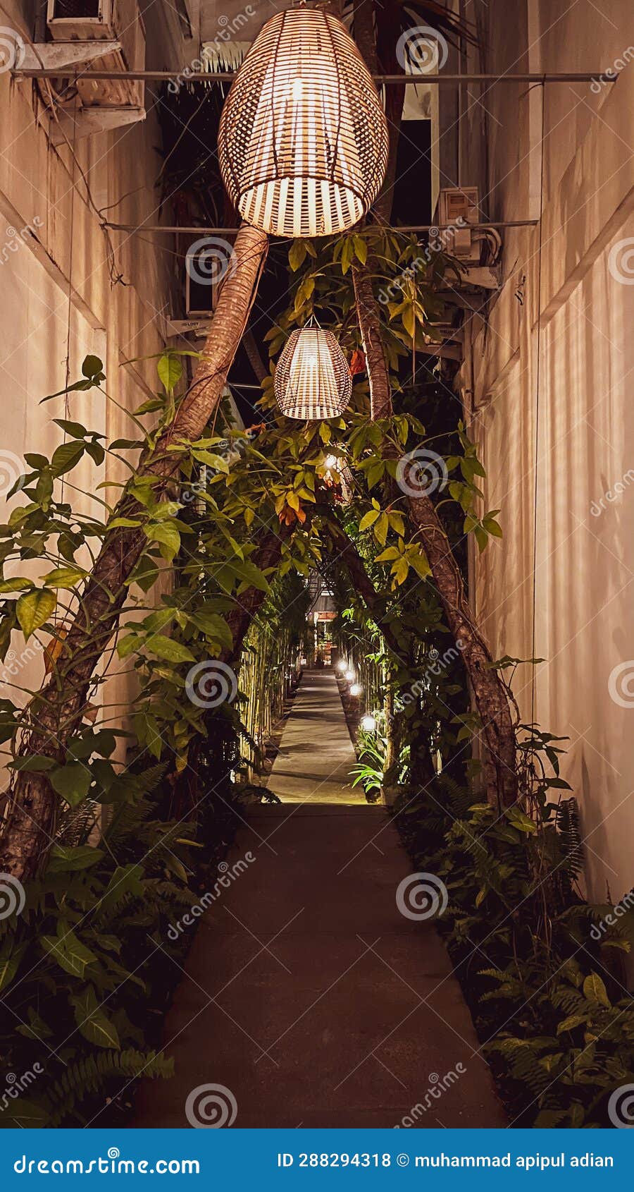 Decorative Lights with a Minimalist Model in an Aisle Stock Photo ...