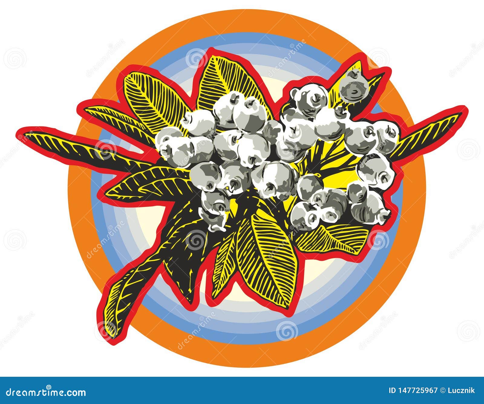Decorative Lychee Flowers on a Rainbow Background Stock Vector ...
