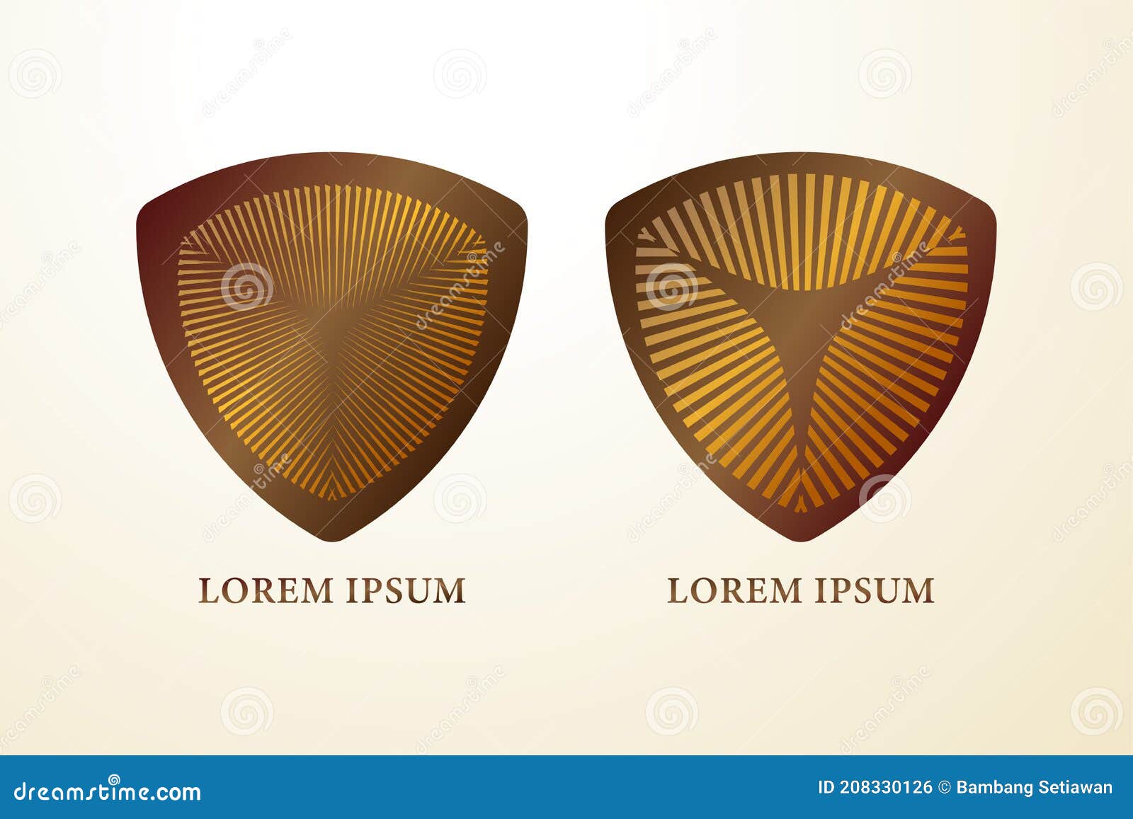 Decorative Metallic Millitary Shield Set with Striped Pattern. Stock ...