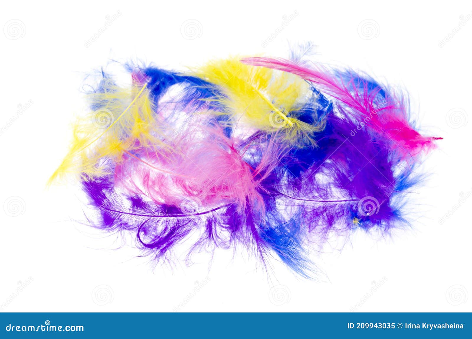 Decorative Multi-colored Feathers Isolated on White Background Stock ...