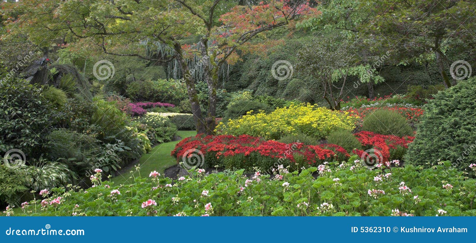 Decorative Multi-colour Garden. Stock Photo - Image of gardening ...