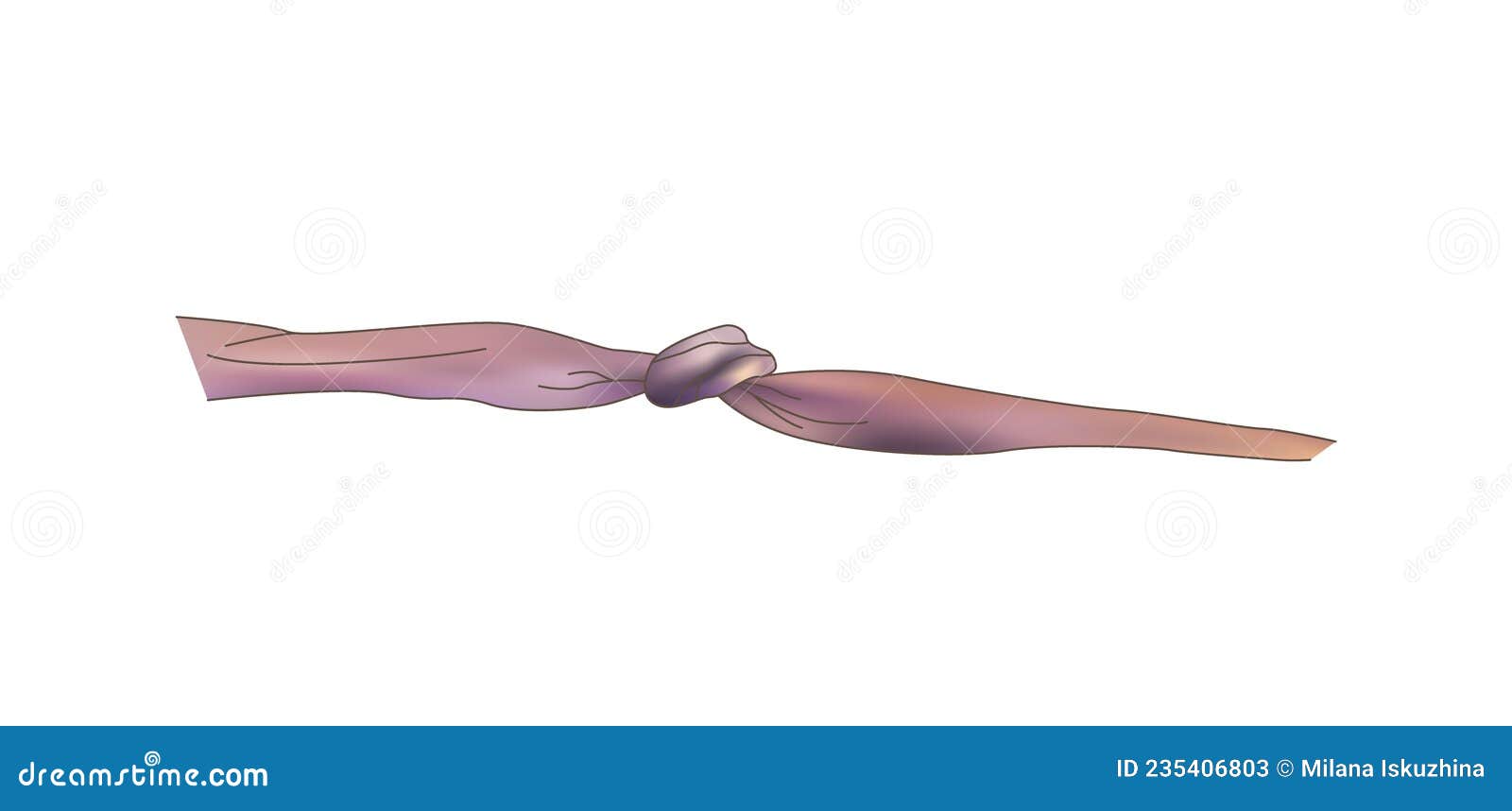 Decorative Multicolor Bow with Long Ribbon Isolated on White Background ...