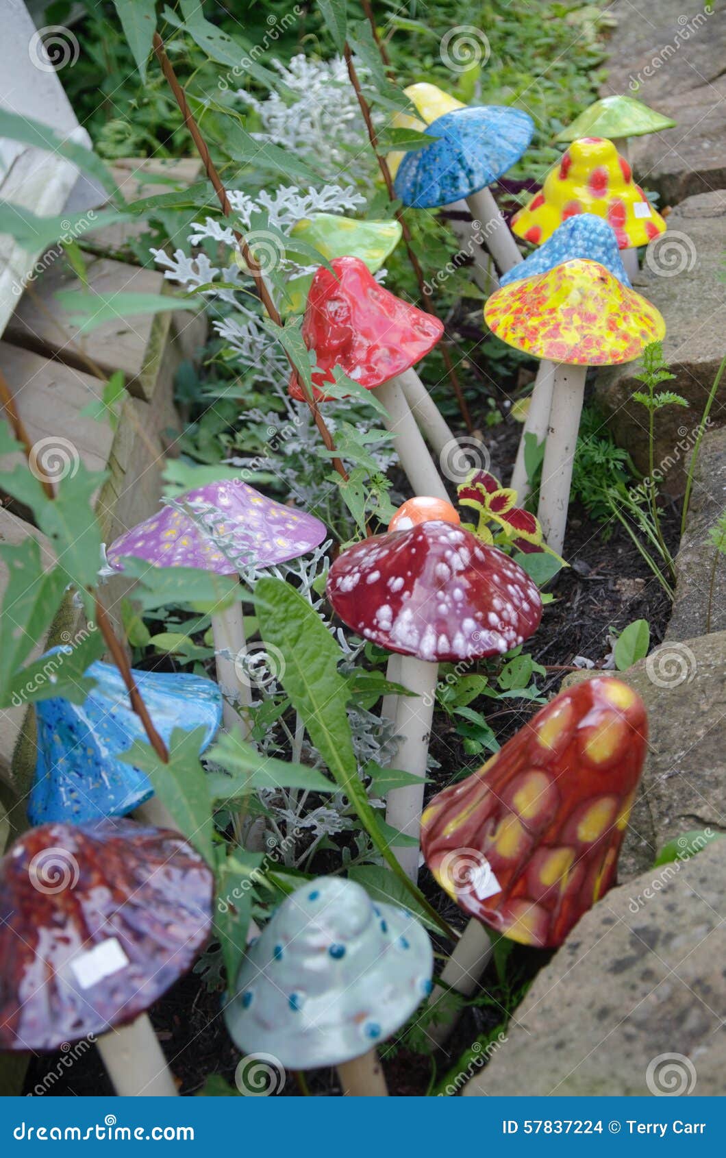 Decorative Garden Mushrooms Stock Photo - Image of fungi, interesting ...