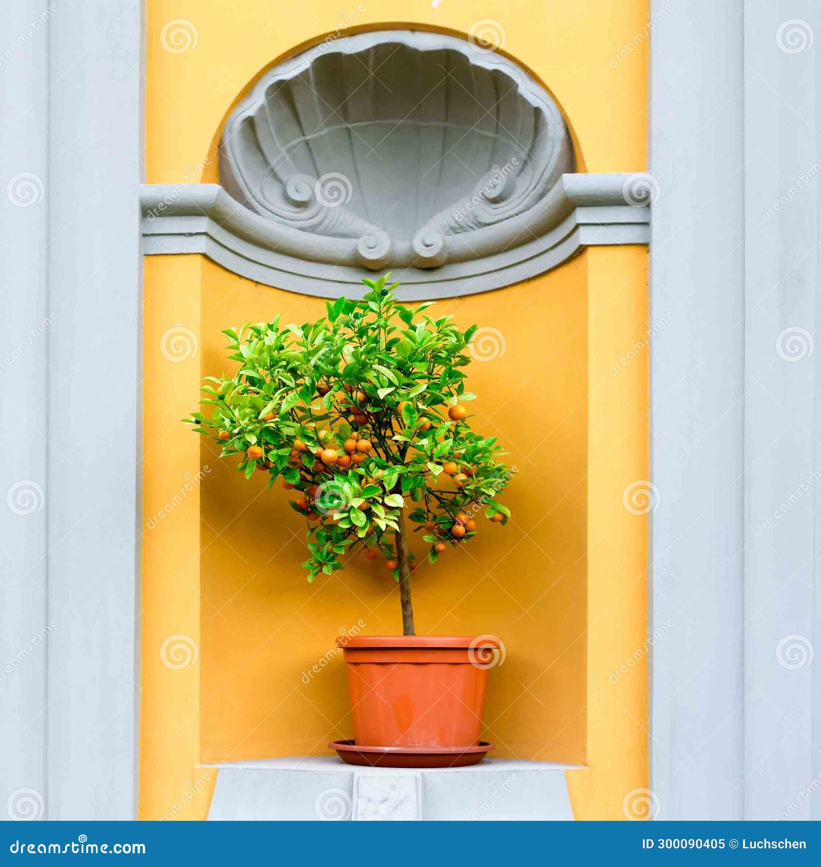 Decorative Niche To the Wall of a Building with a Lemon Plant in a Pot ...