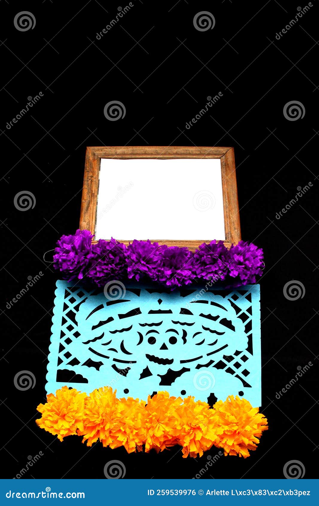 Cempasuchil Portraits Stock Photos - Free & Royalty-Free Stock Photos ...