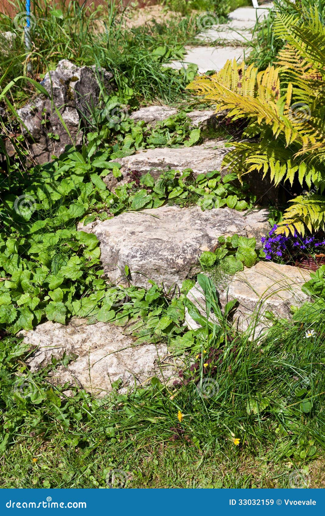 Decorative old stone steps stock image. Image of herb - 33032159