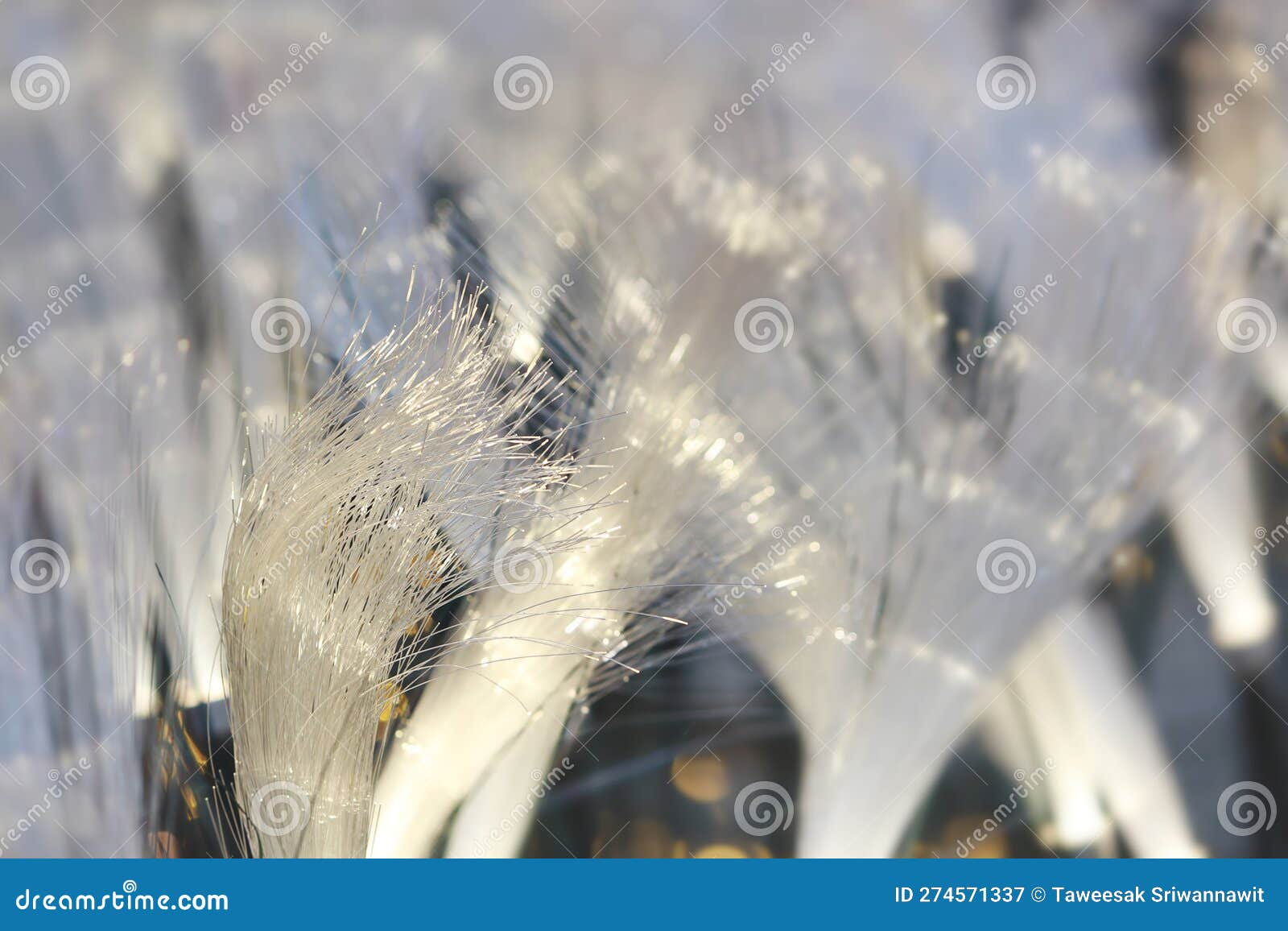 Decorative Optical Fiber Lighting Stock Image - Image of modern, fiber ...