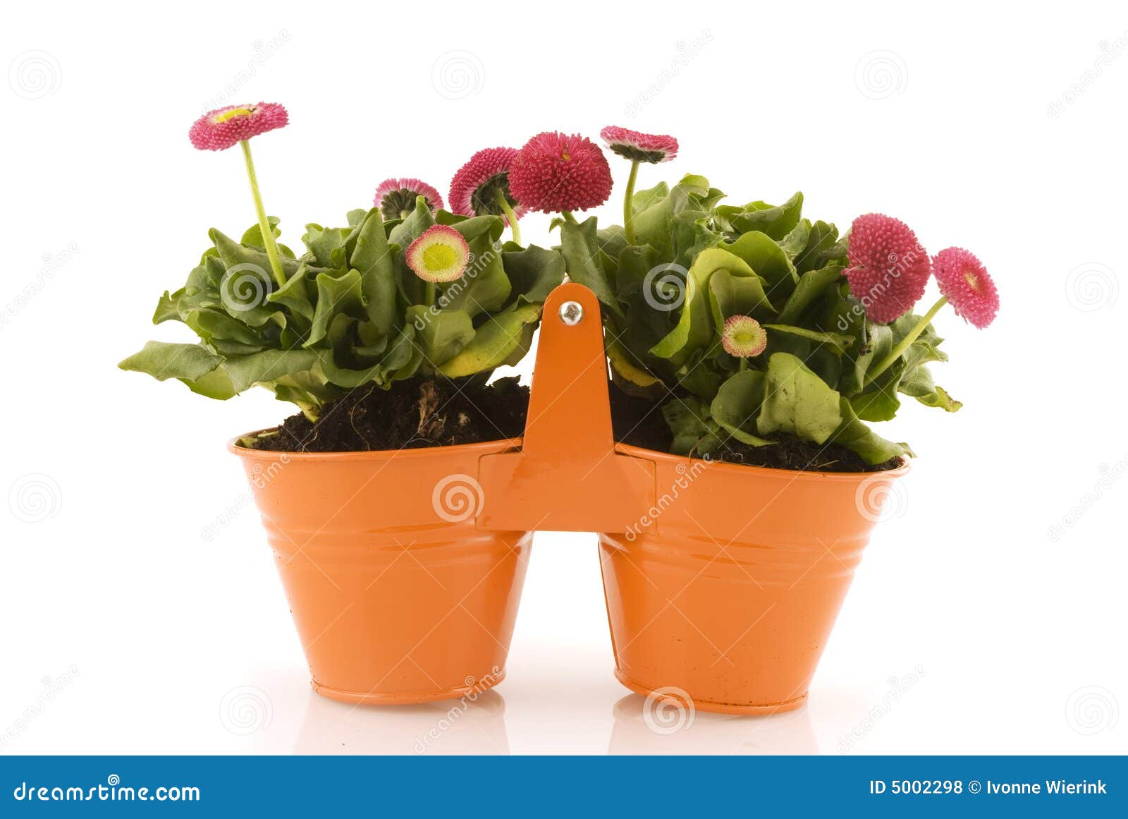 Decorative orange buckets stock photo. Image of cheerful - 5002298