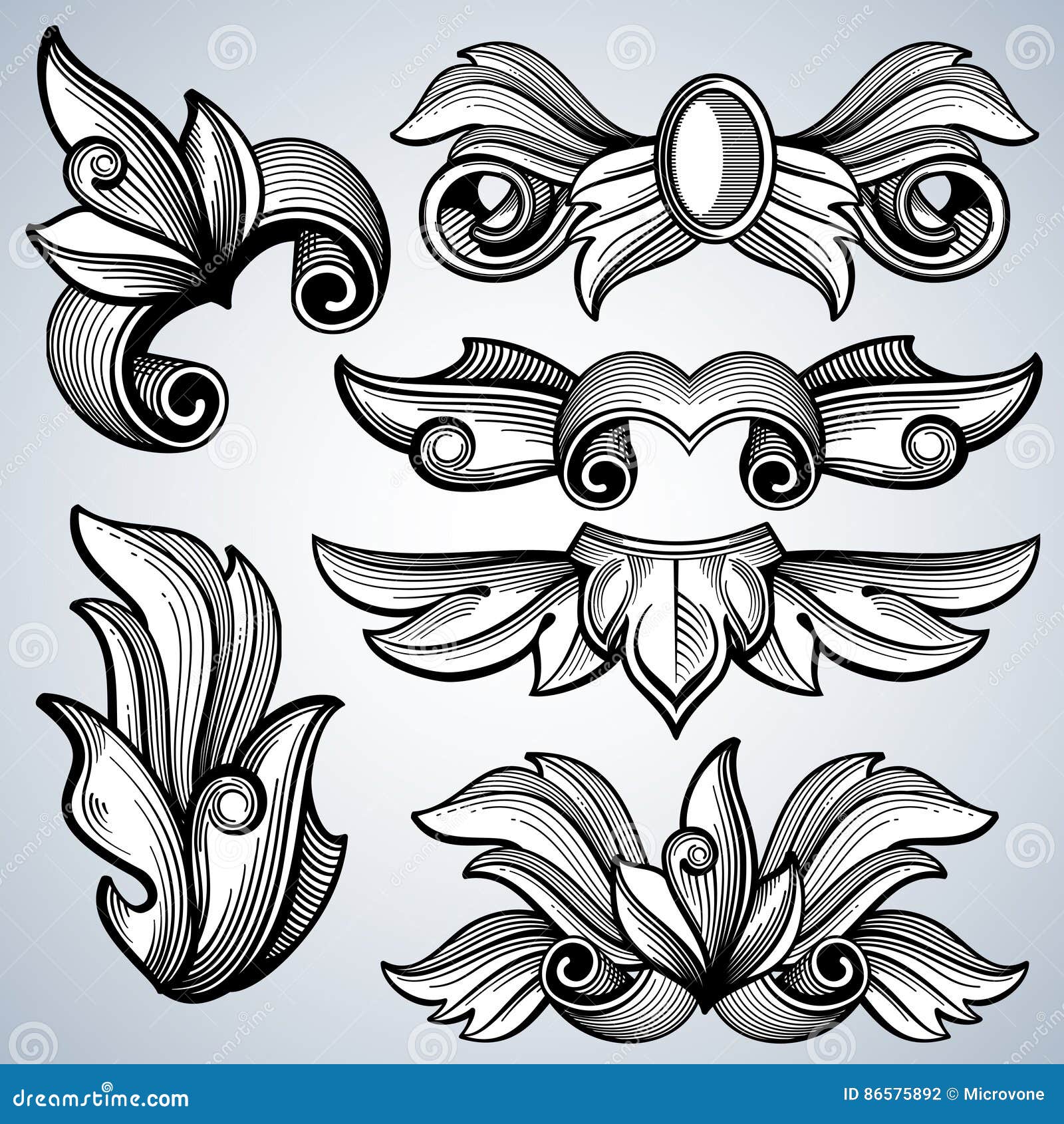 Decorative Ornate Engraving Scroll Ornament, Leaves Of Baroque ...