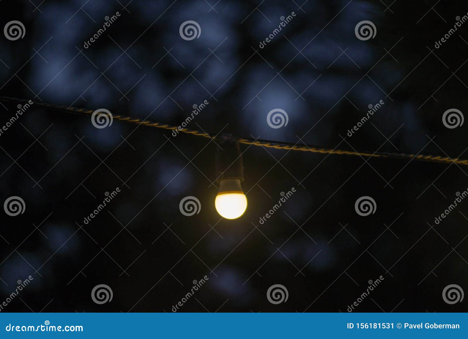 Decorative Outdoor String Lights Hanging in the Garden at Night Stock ...