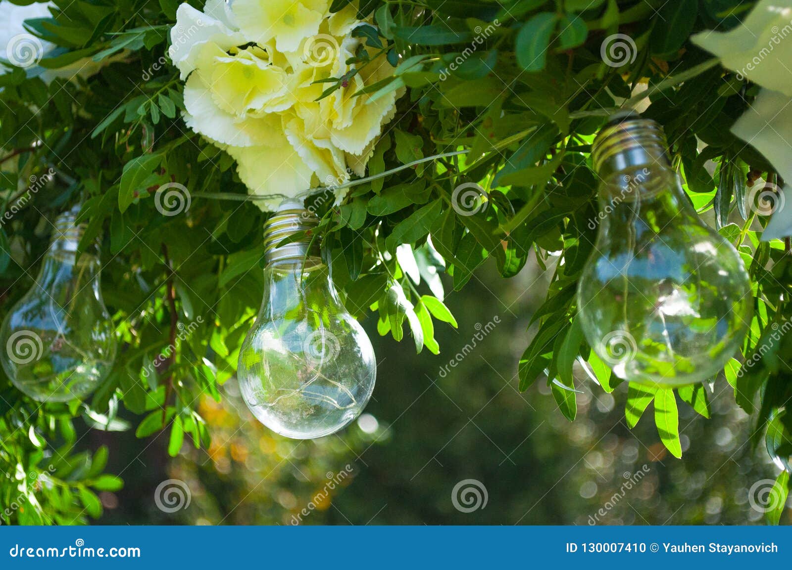 Decorative Outdoor String Lights Hanging on Tree in the Garden. Light ...