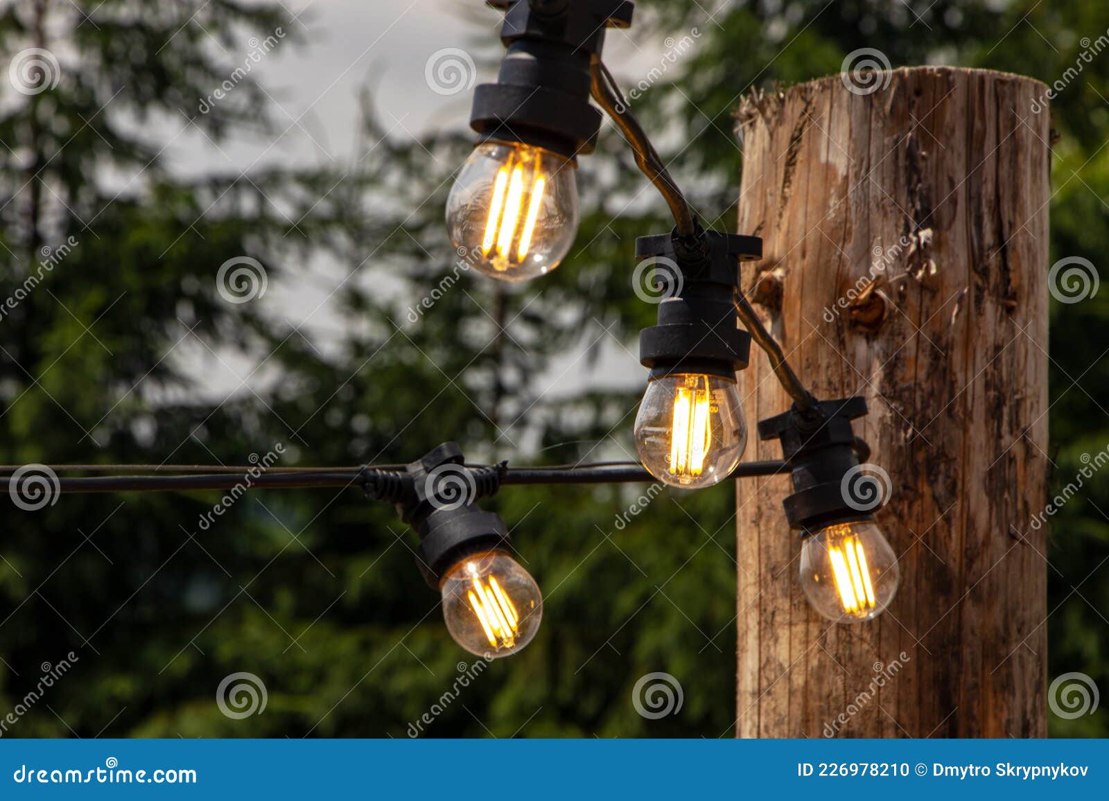 Decorative Outdoor String Lights Hanging on Tree in the Garden at Night ...