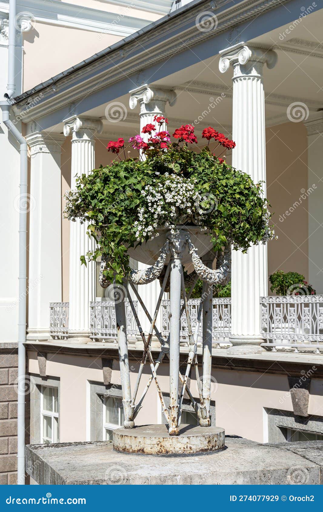 Decorative Outdoor Vase with Red Geranium Stock Image - Image of white ...