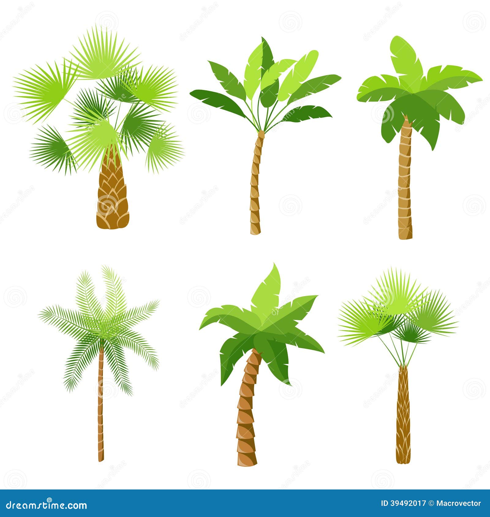 Decorative Palm Trees Icons Set Stock Vector - Illustration of contour ...