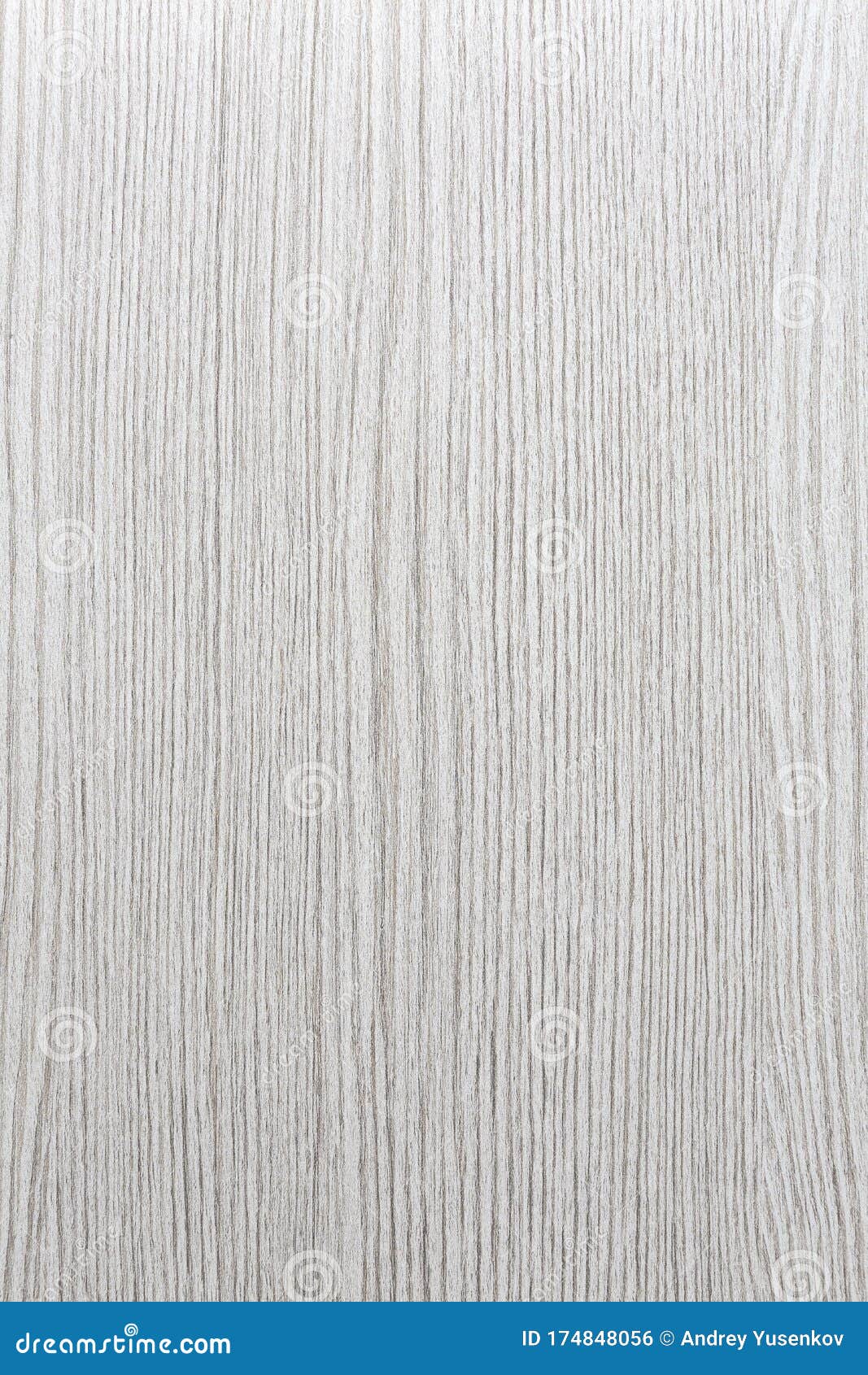 Chipboard Panel with Grey Oak Texture. Background Stock Photo - Image ...