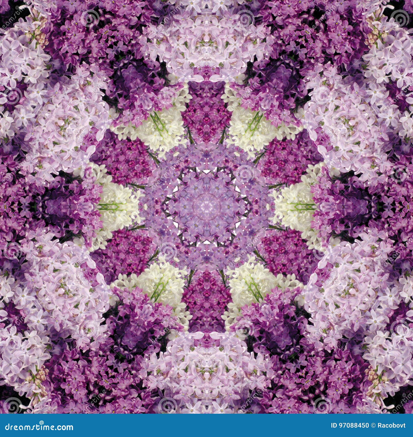 Decorative panel of lilac stock illustration. Illustration of ...