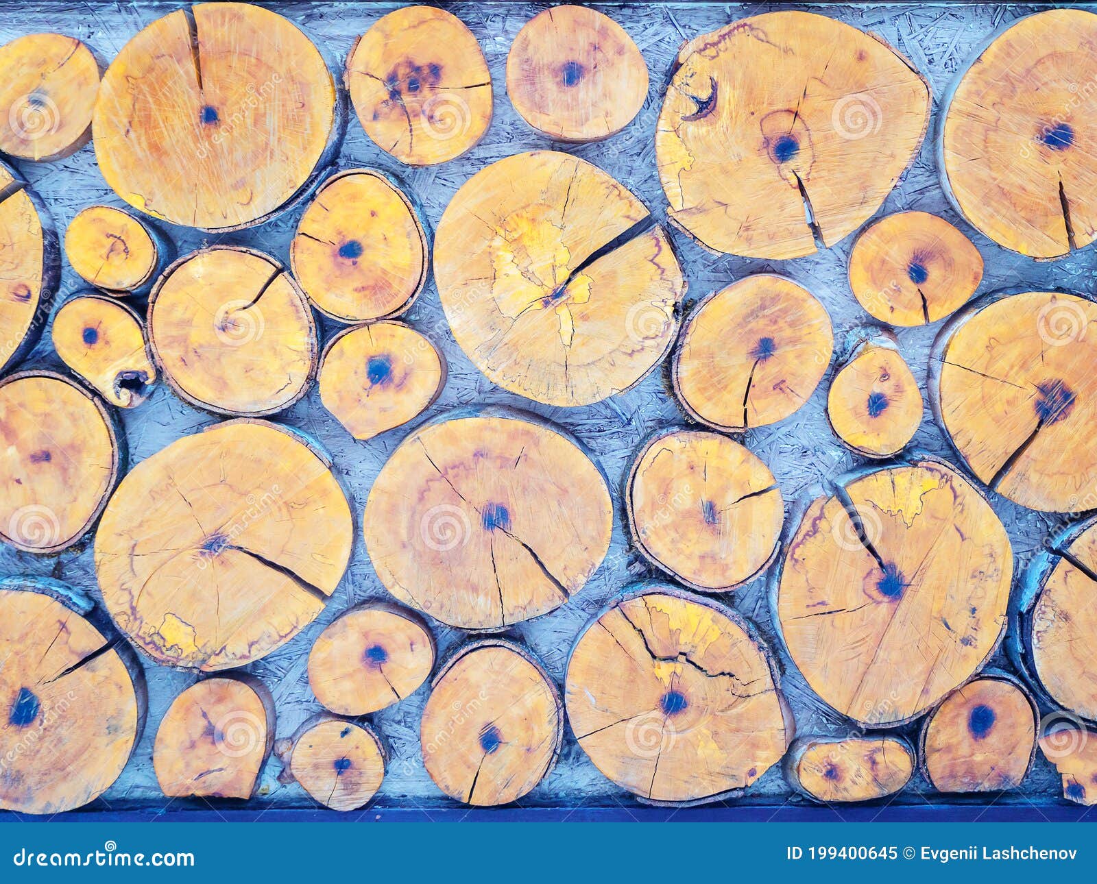 Decorative Panel with Pattern of Round Log Slices of Different Sizes ...