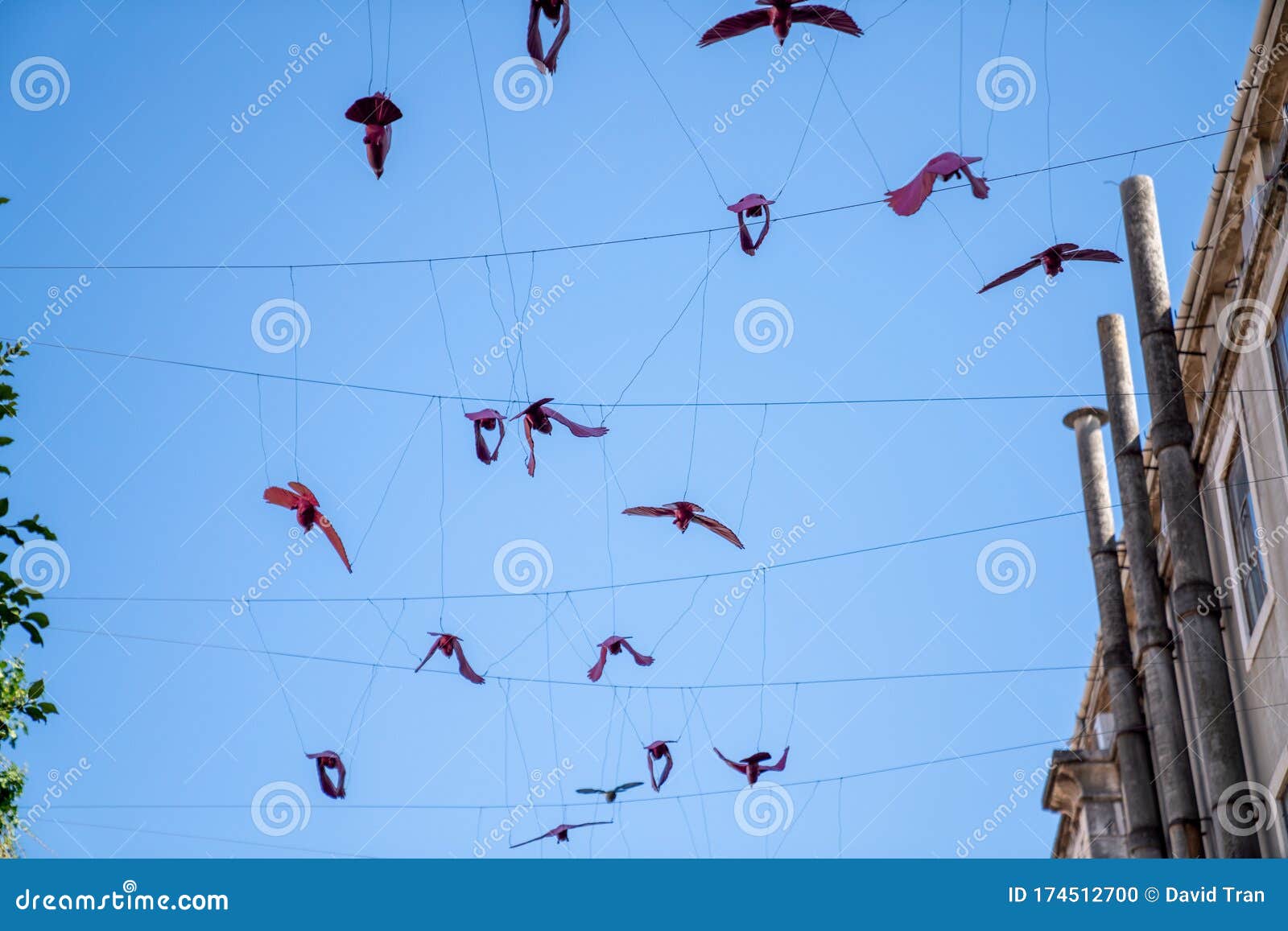 Decorative Paper Birds Hanging on Strings High on Buildings Against Sky ...