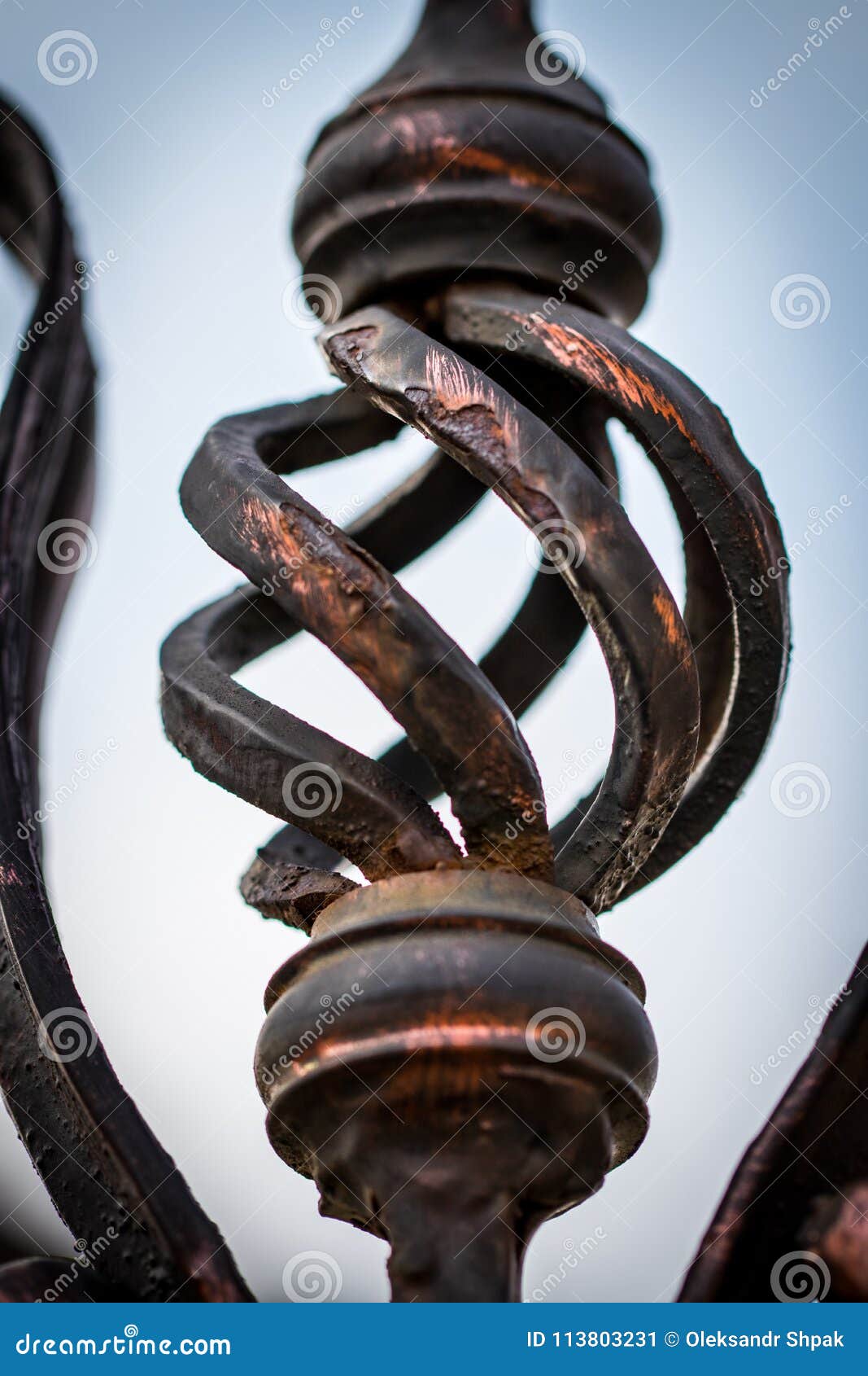 Decorative Parts of Metal Gates, Elements of Hand Forging Stock Image ...