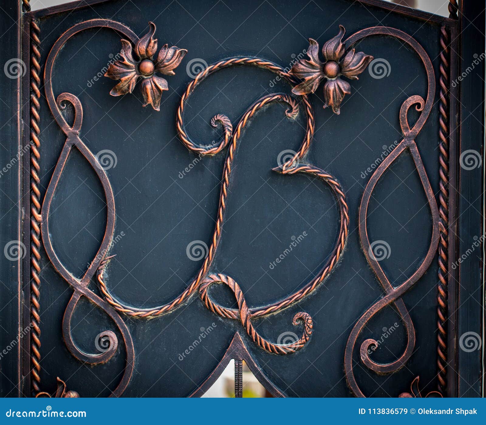 Decorative Parts of Metal Gates, Elements of Hand Forging Stock Image ...