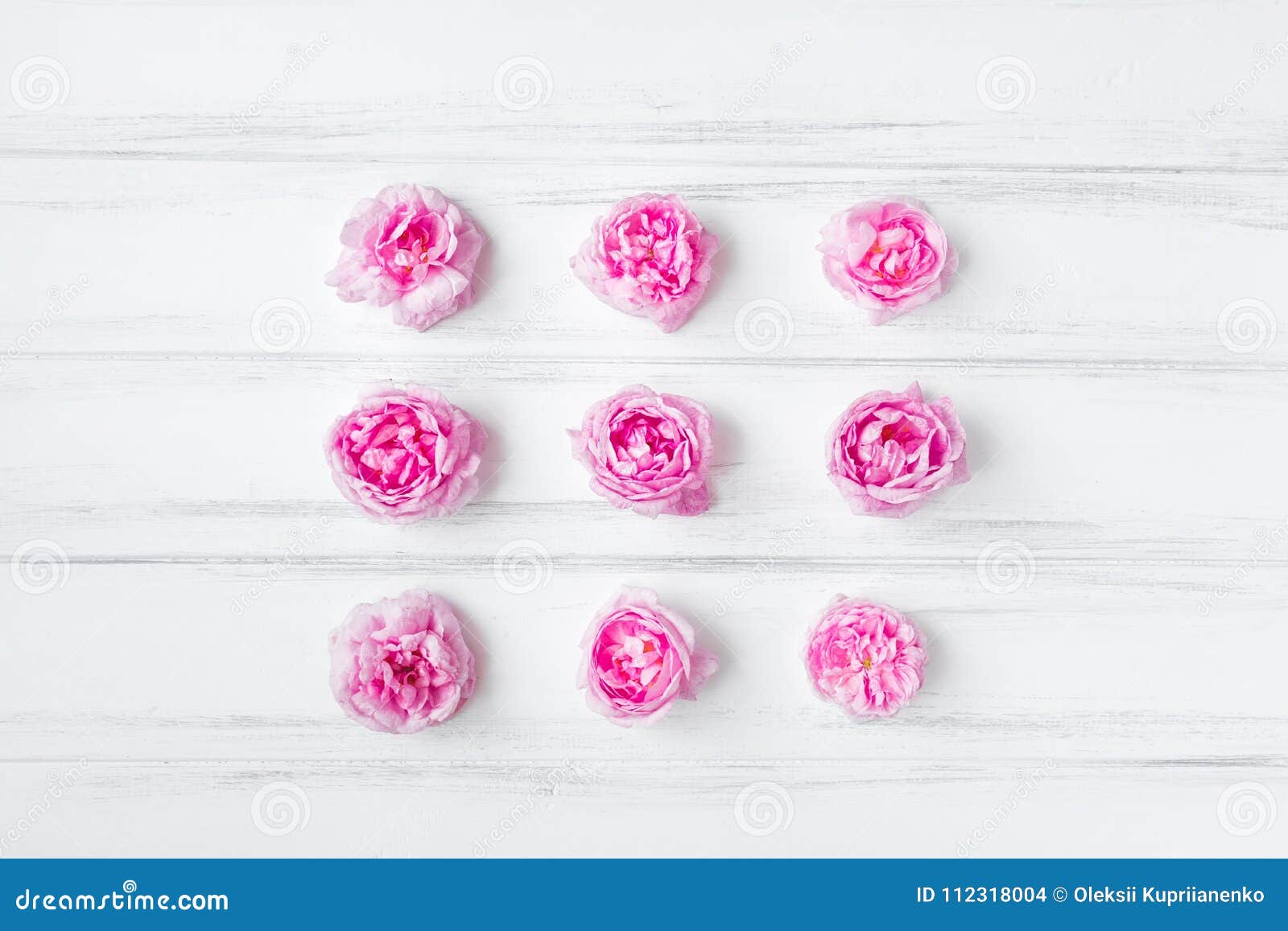 Decorative Pattern with Nine Pink Roses on White Background Stock Photo ...