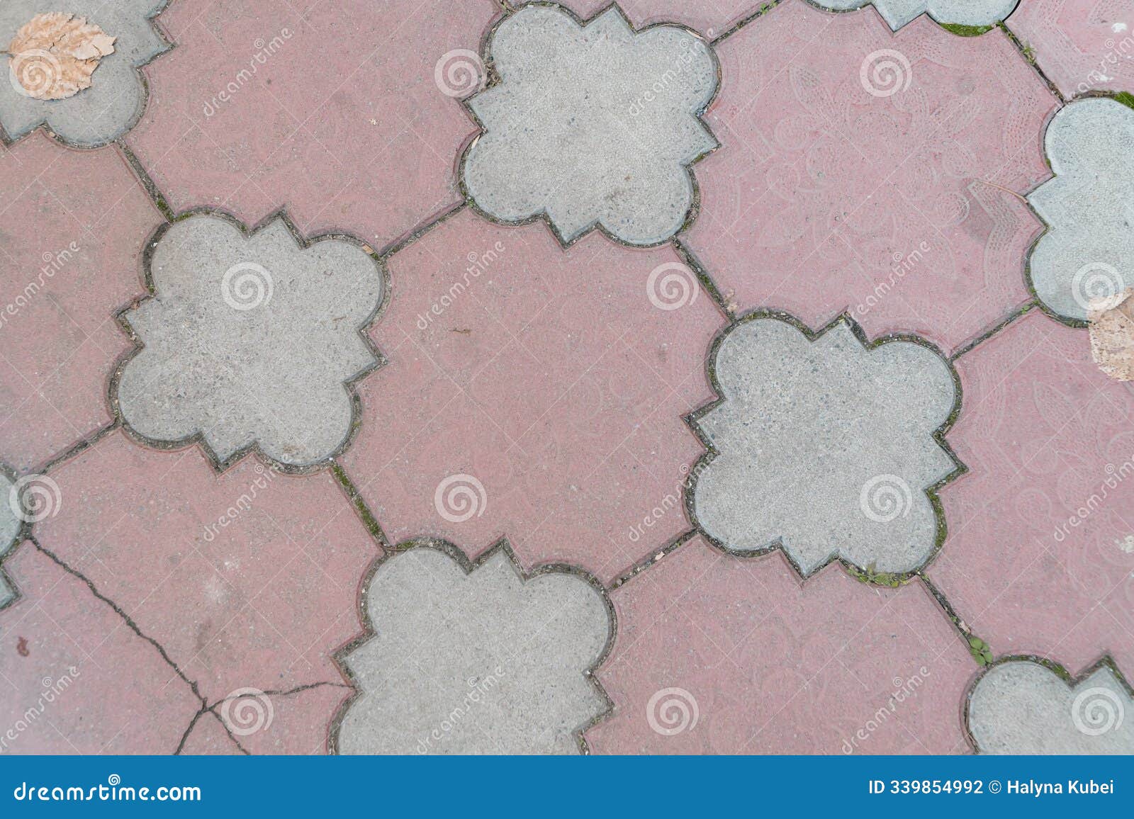 Decorative Pavement Tiles in Geometric Pattern with Leaf Accents Stock ...
