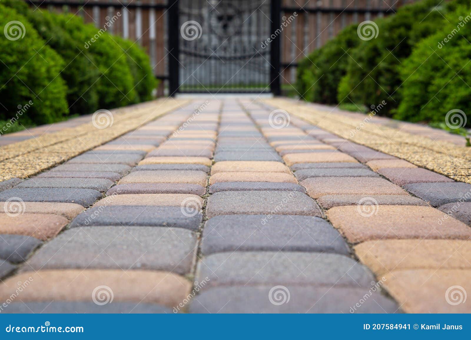 Decorative Paving Stones in the Garden Stock Image - Image of kostki ...