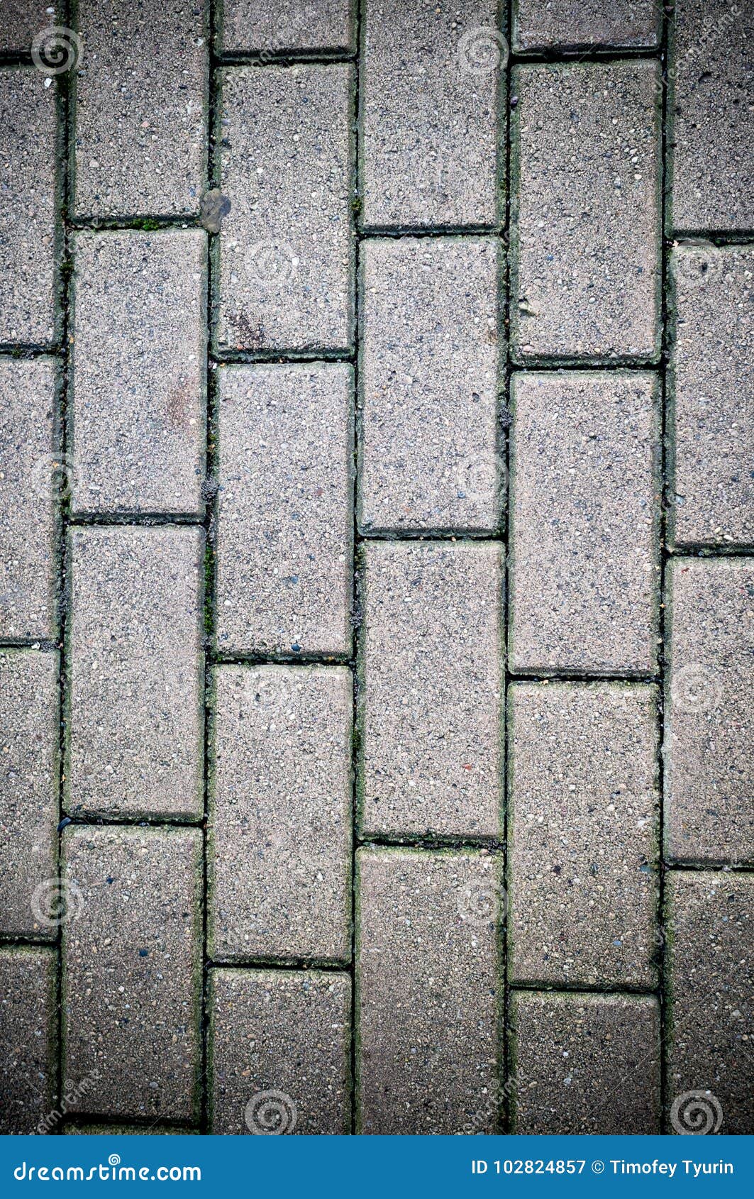 Decorative Paving Tile. Background, Texture, Pattern. Royalty-Free ...