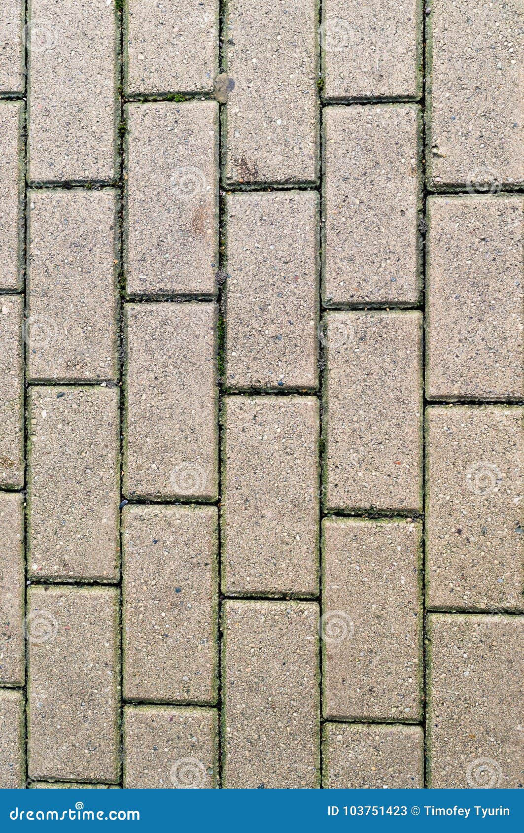 Decorative Paving Tile. Background, Texture, Pattern. Stock Image ...