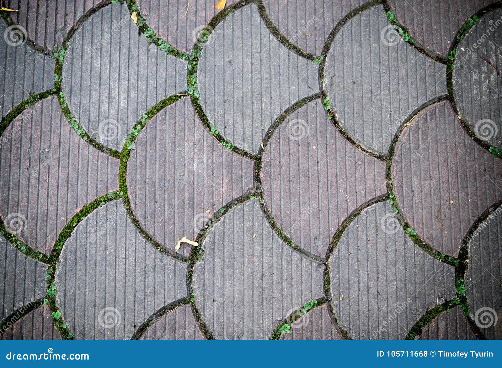Decorative Paving Tile. Background, Texture, Pattern. Stock Photo ...