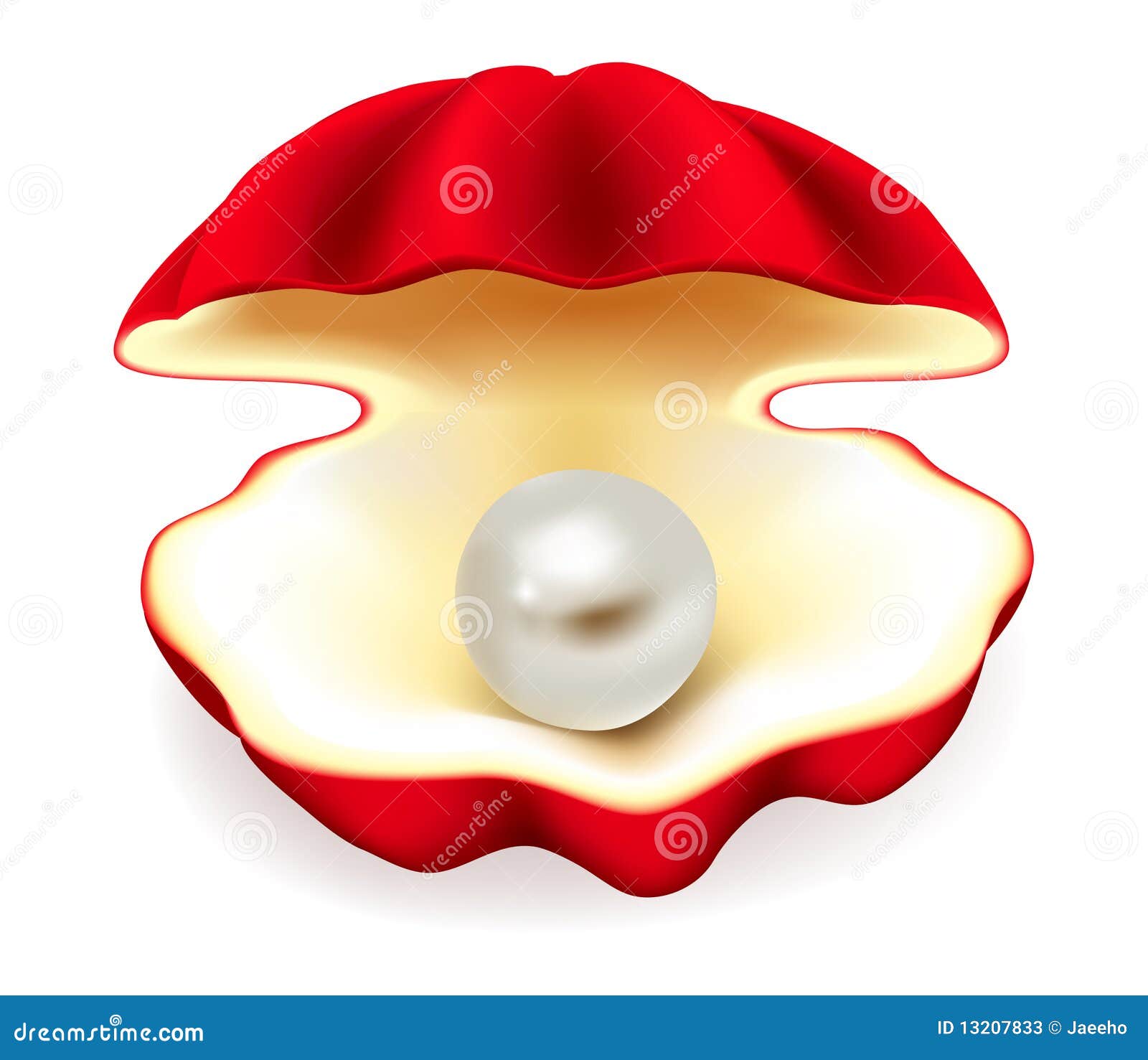 Decorative pearl shell stock vector. Illustration of beauty - 13207833