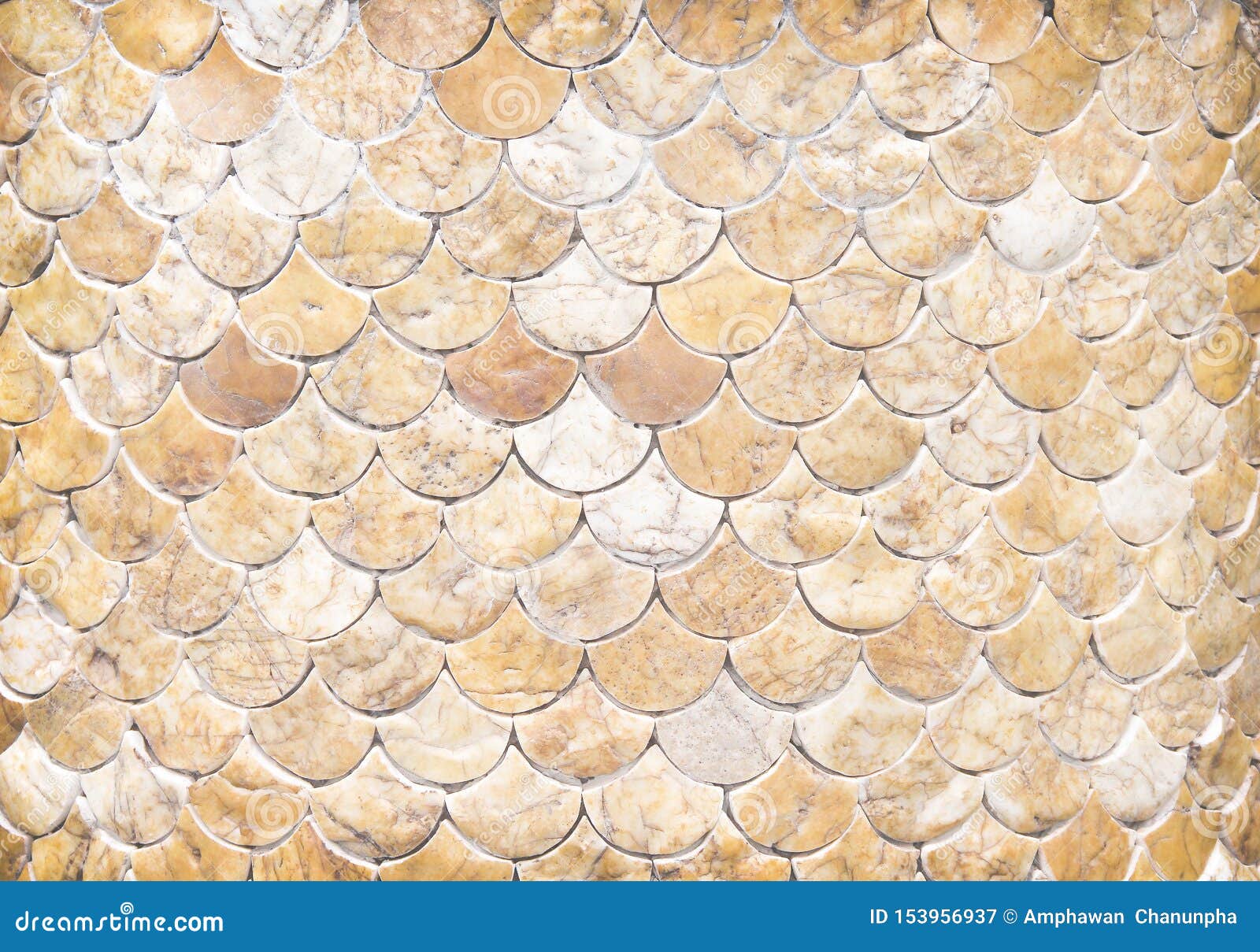 215 Fish Scale Wall Texture Stock Photos - Free & Royalty-Free Stock ...