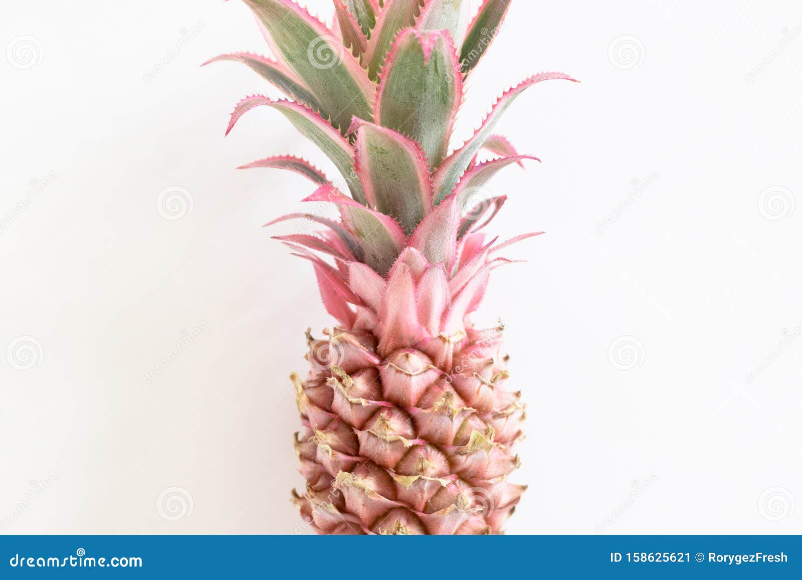 Decorative pink pineapple stock image. Image of branch - 158625621