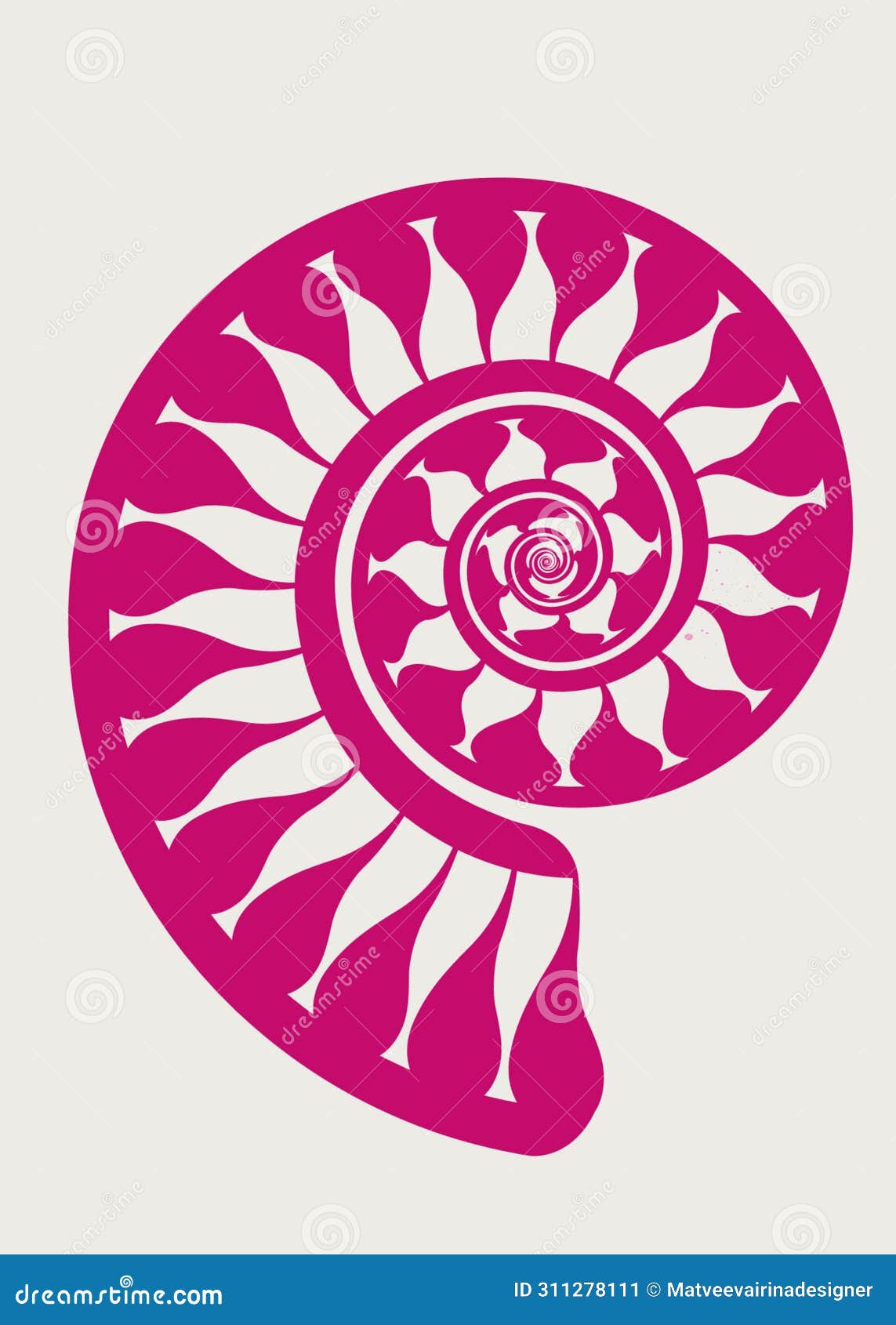 Decorative Pink Shell with Patterns for Your Designs and Ideas Stock ...