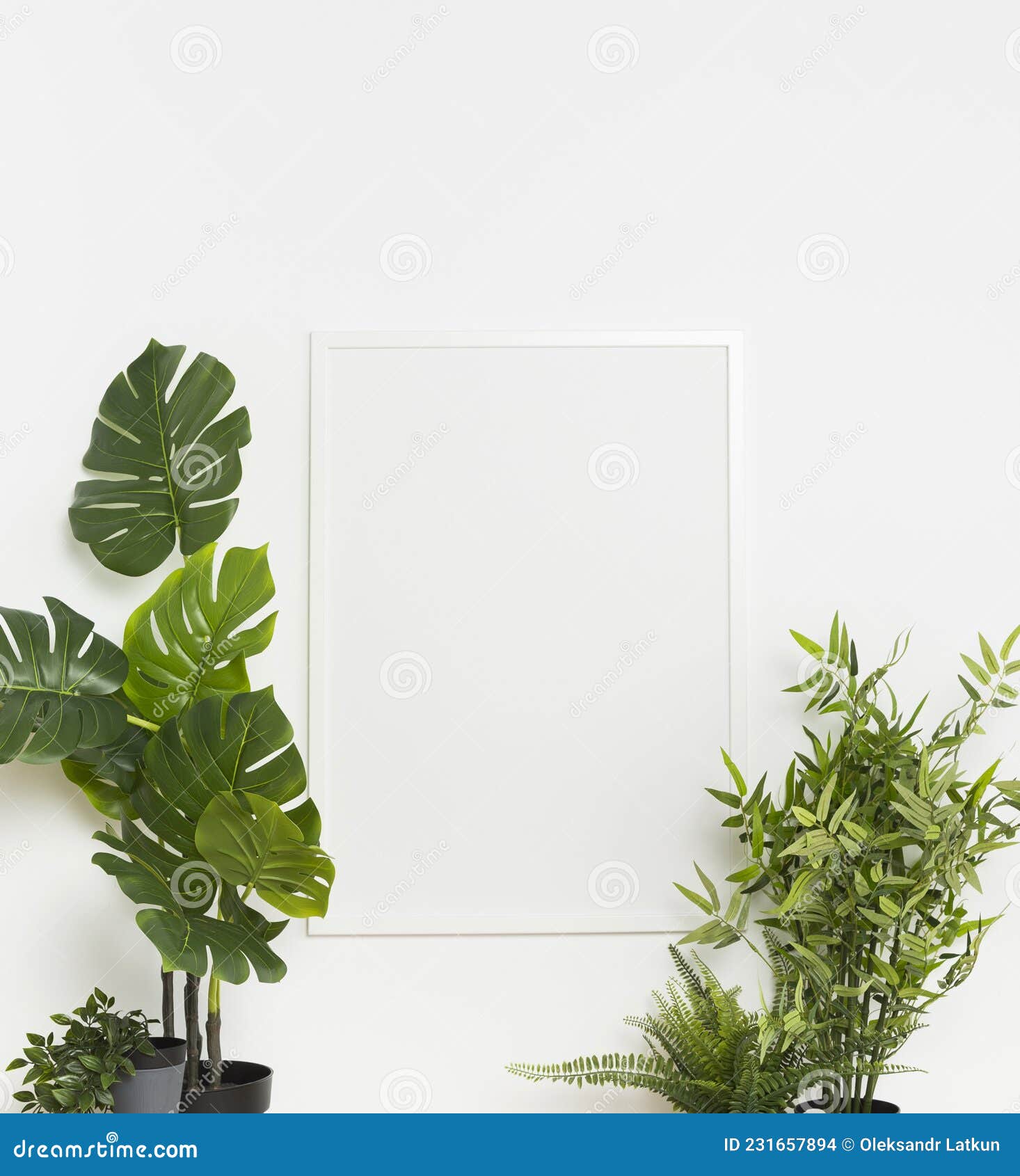 Decorative Plant with Empty Frame Stock Photo - Image of decor, green ...
