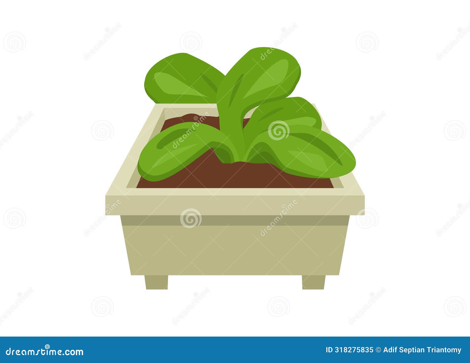 Decorative Plant in Square Pot. Simple Flat Illustration in Perspective ...