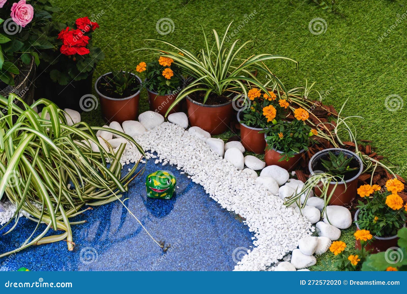Decorative Plants in Flower Pots Stock Photo - Image of pink, green ...