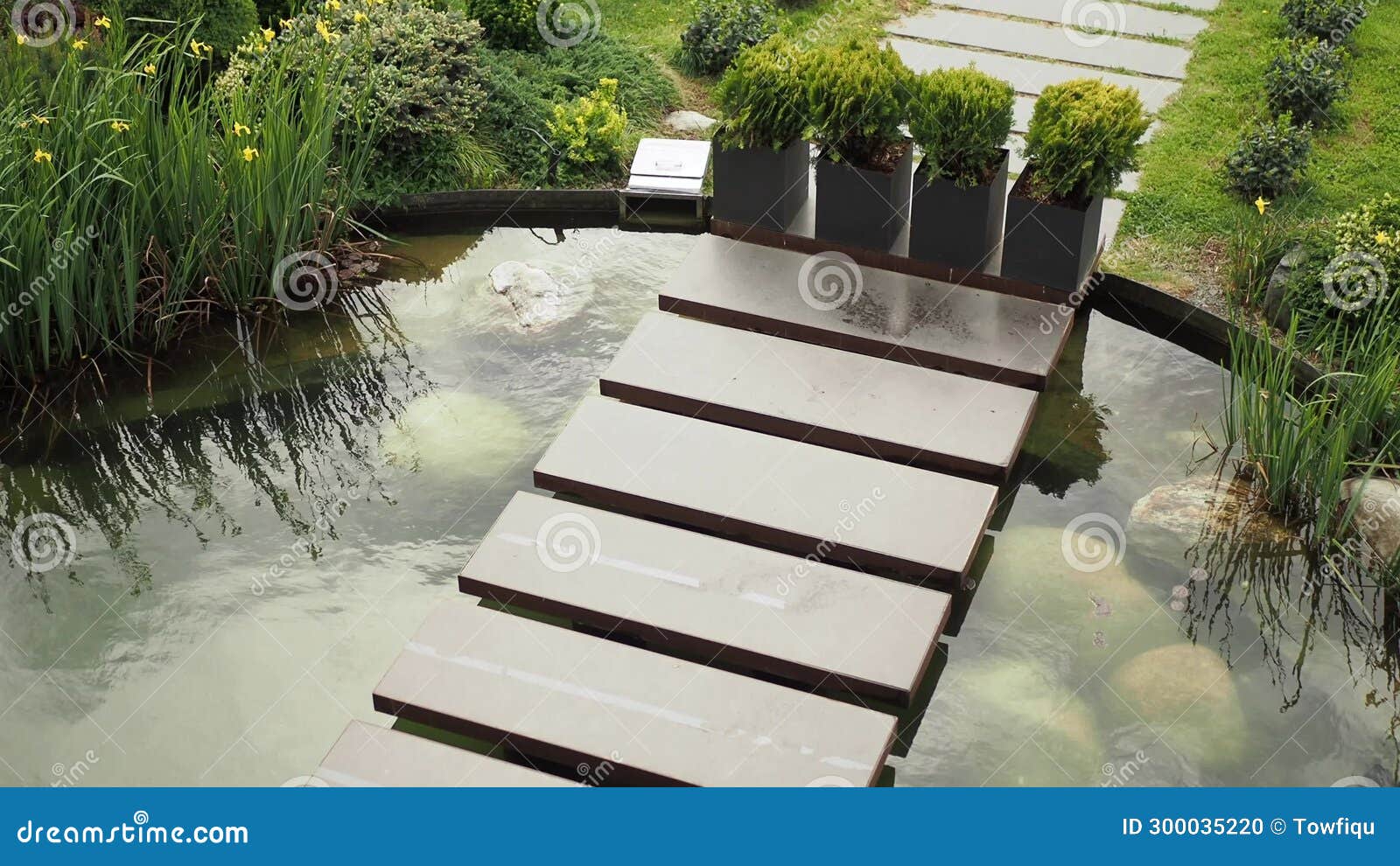 Decorative Plants in a Small Pond with Trees Around Stock Footage ...