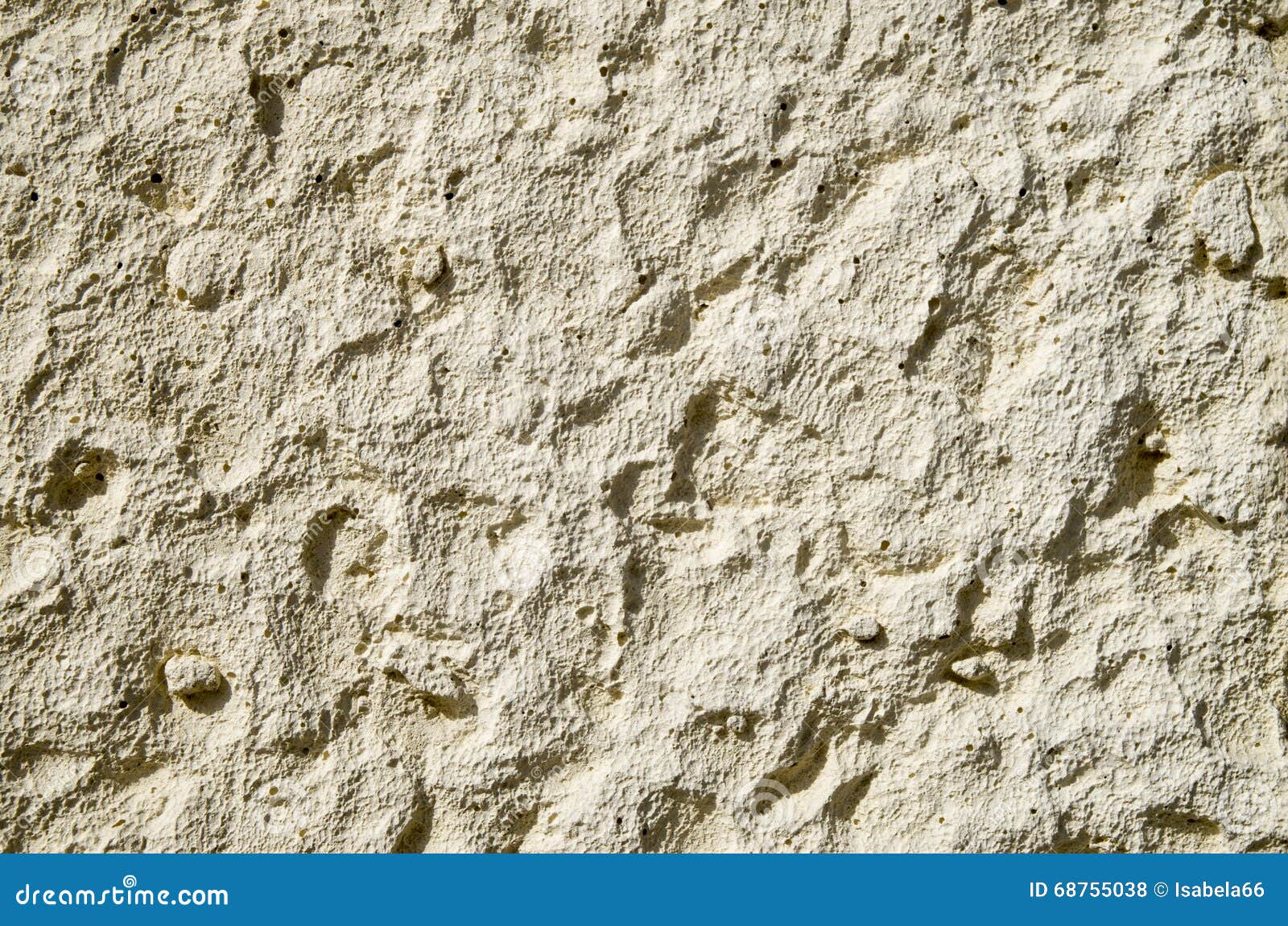 Decorative Plaster Imitation Shells Limestone Stock Photo - Image of ...