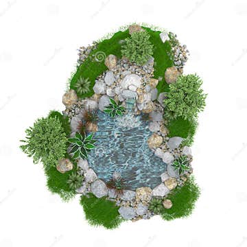 Decorative Pond on a White Background Stock Illustration - Illustration ...