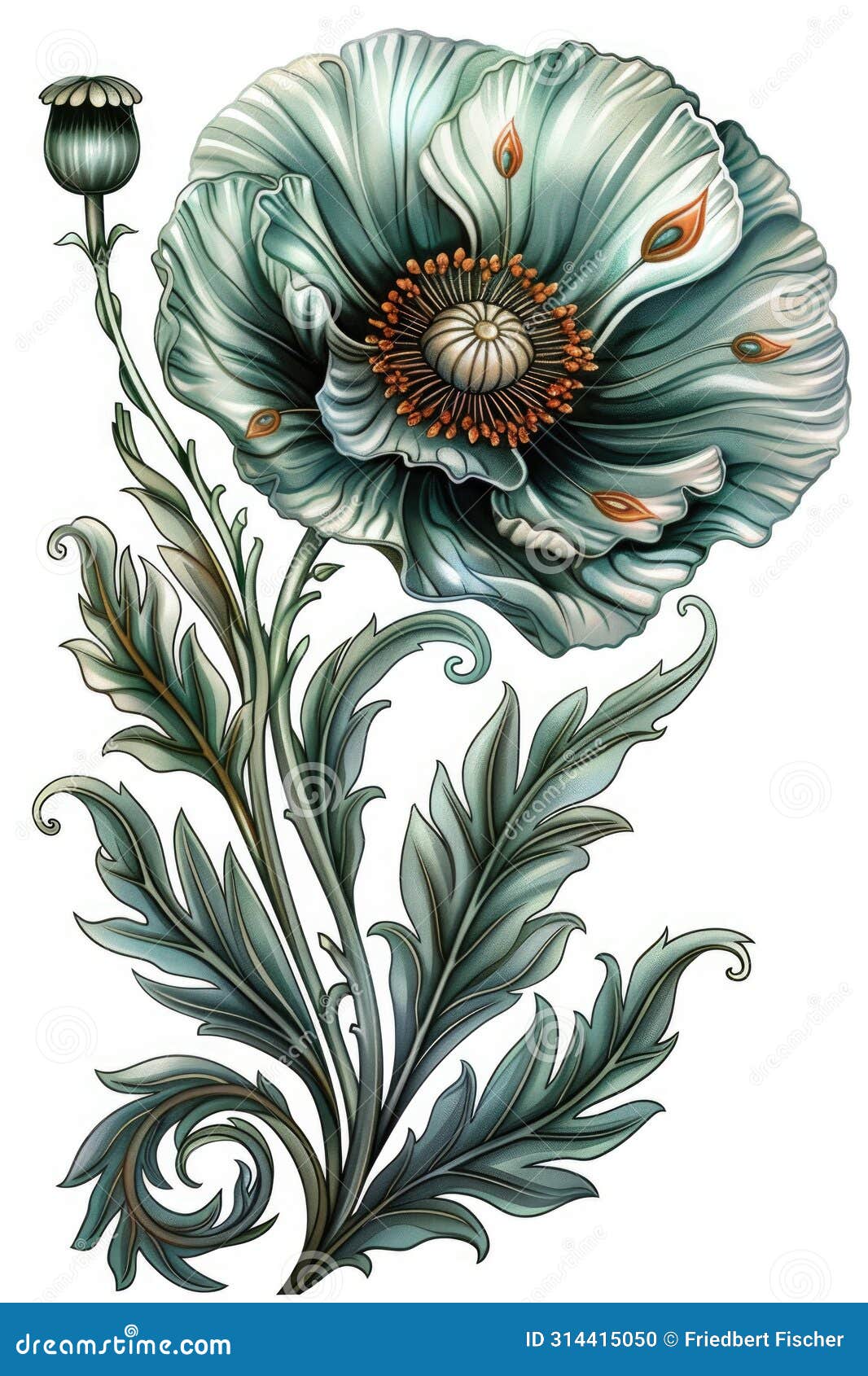 Decorative Poppy Flowers, Stems and Leaves on White Background Stock ...