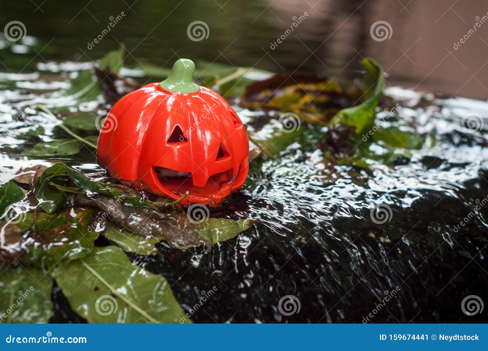Decorative Pumpkin for Halloween in River Stock Image - Image of fall ...