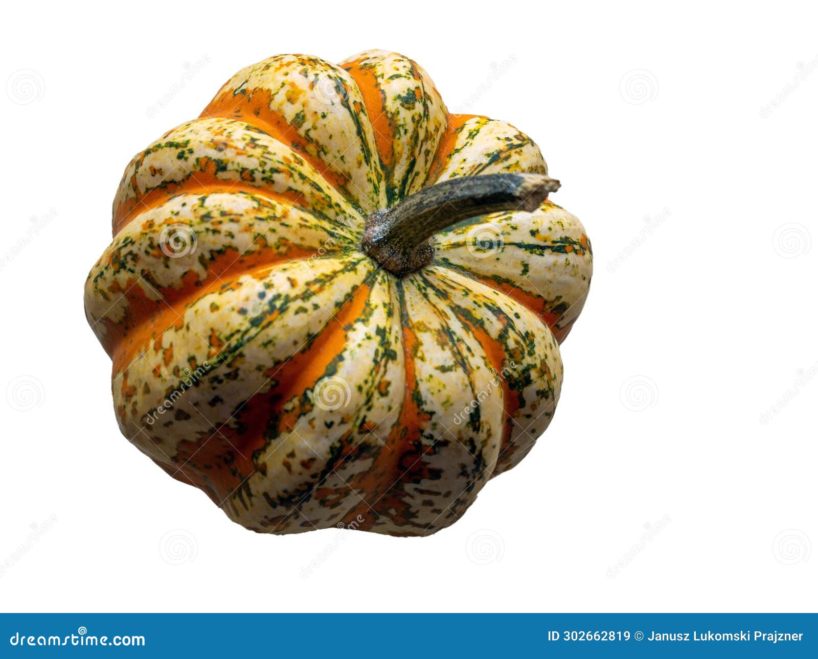 Decorative Pumpkin, Interior Decoration Stock Image - Image of closeup ...